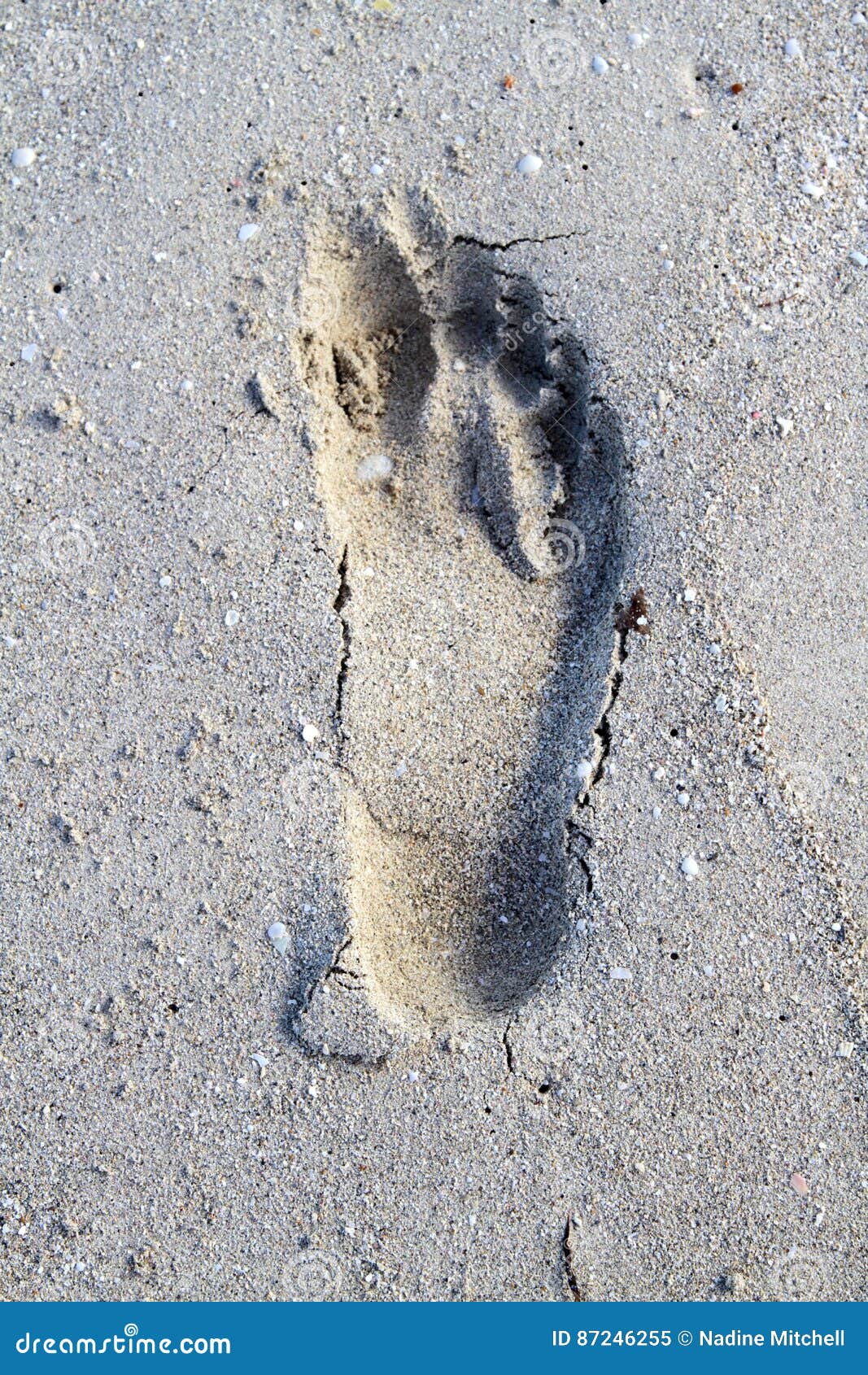 Foot imprint on sand stock image. Image of walk, imprint - 87246255