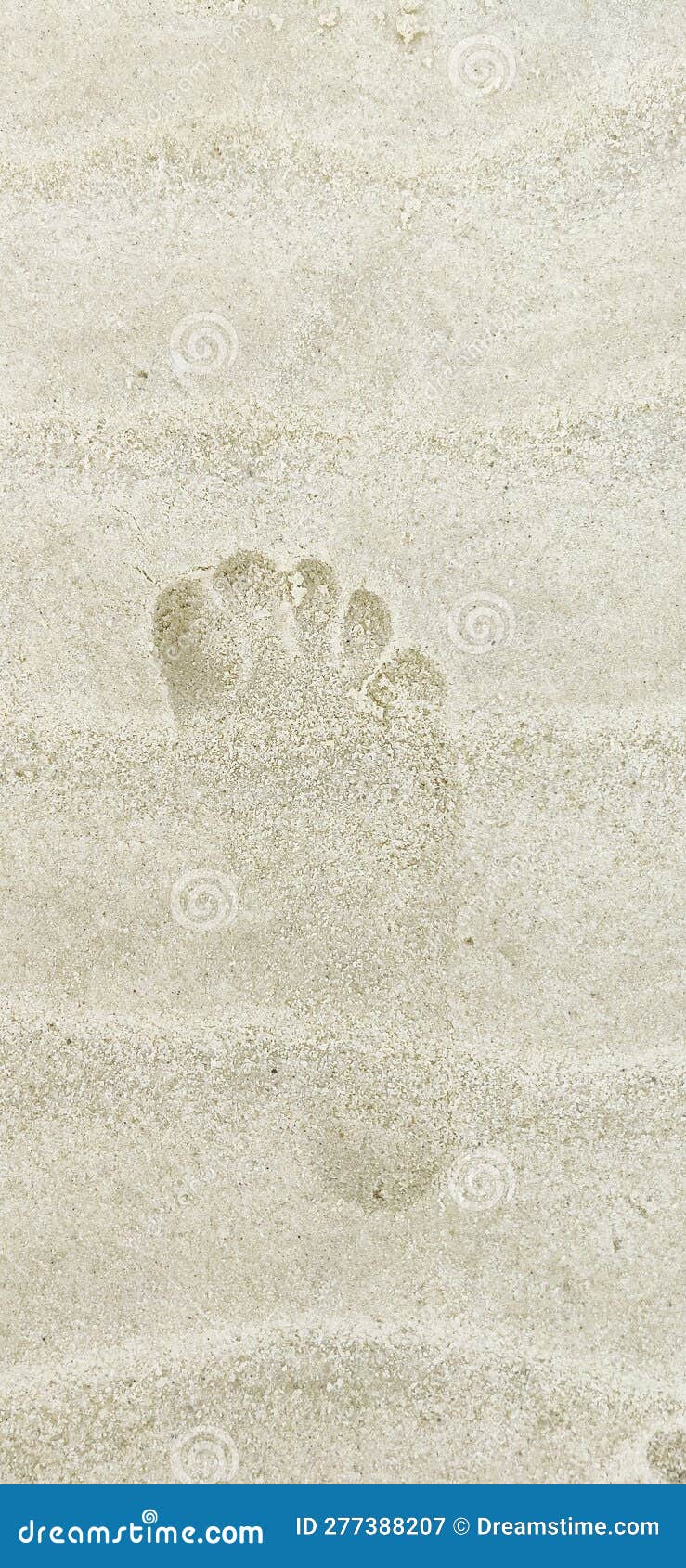 Foot mark in white sand stock image. Image of foot, footprints - 277388207