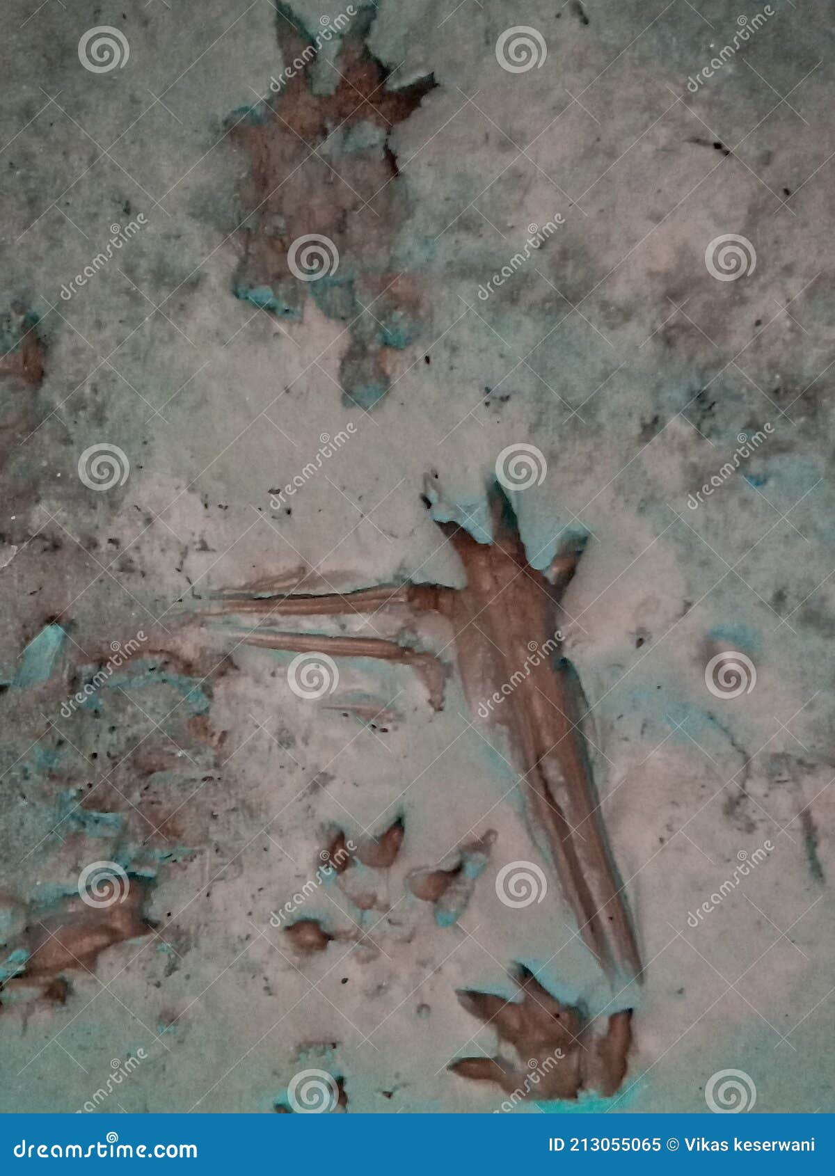 Foot Marks of Rat with Soil Art Stock Image - Image of marks, foot ...