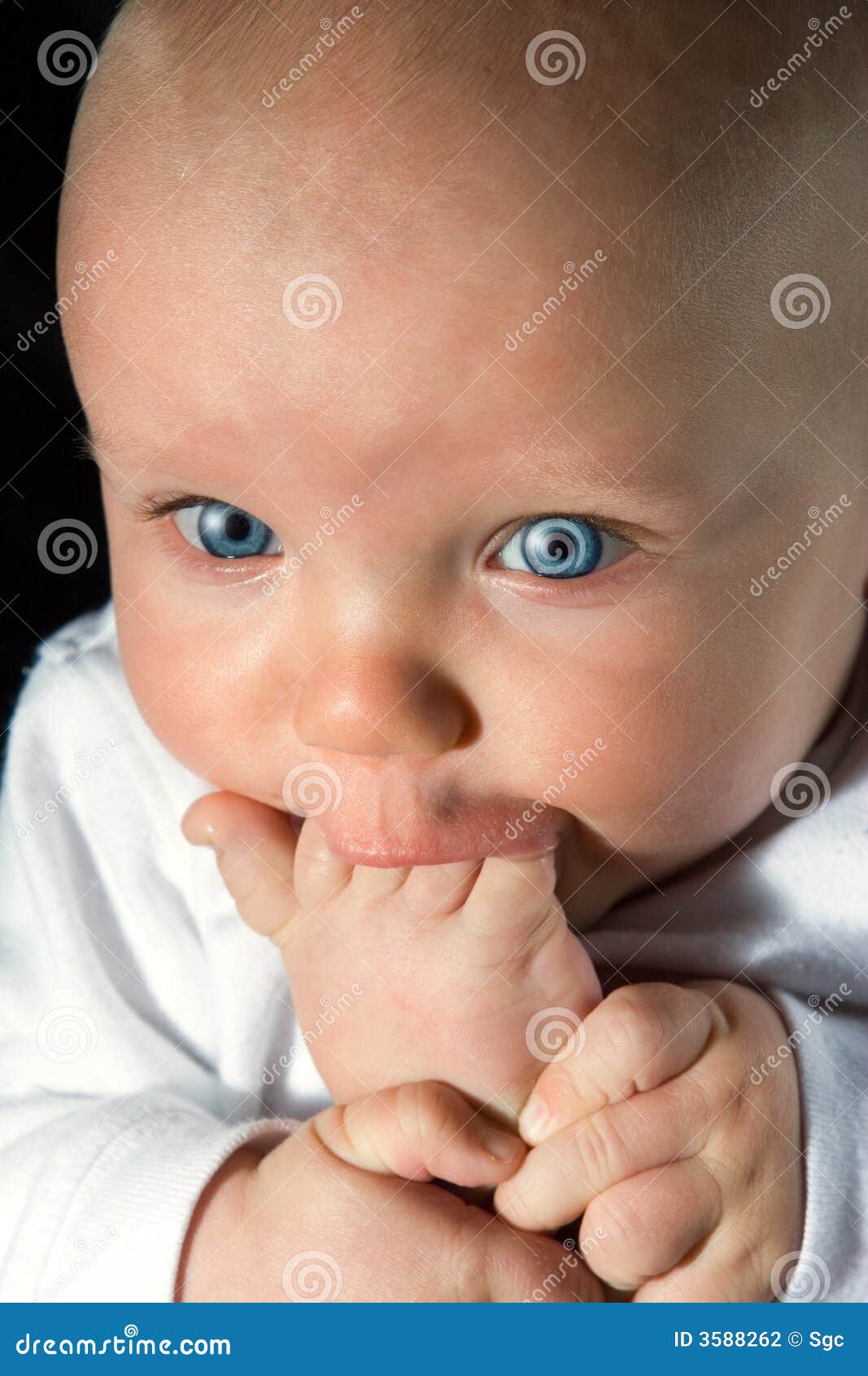 Foot in mouth stock photo. Image of teething, laugh, funny - 3588262