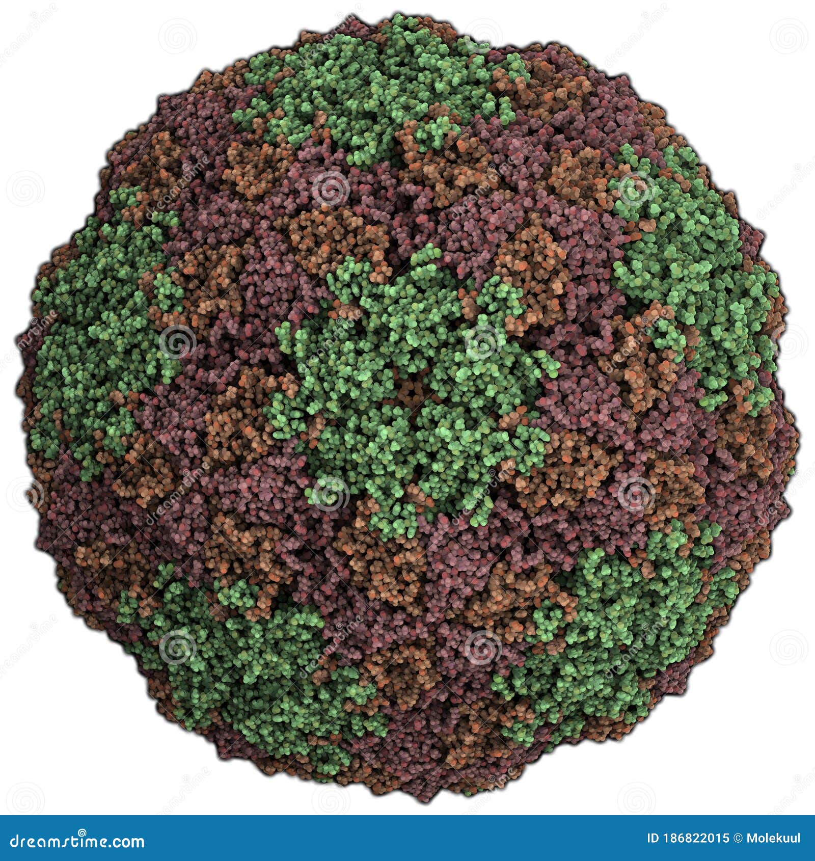 Foot and Mouth Disease. Atomic-level Structure. Stock Illustration ...