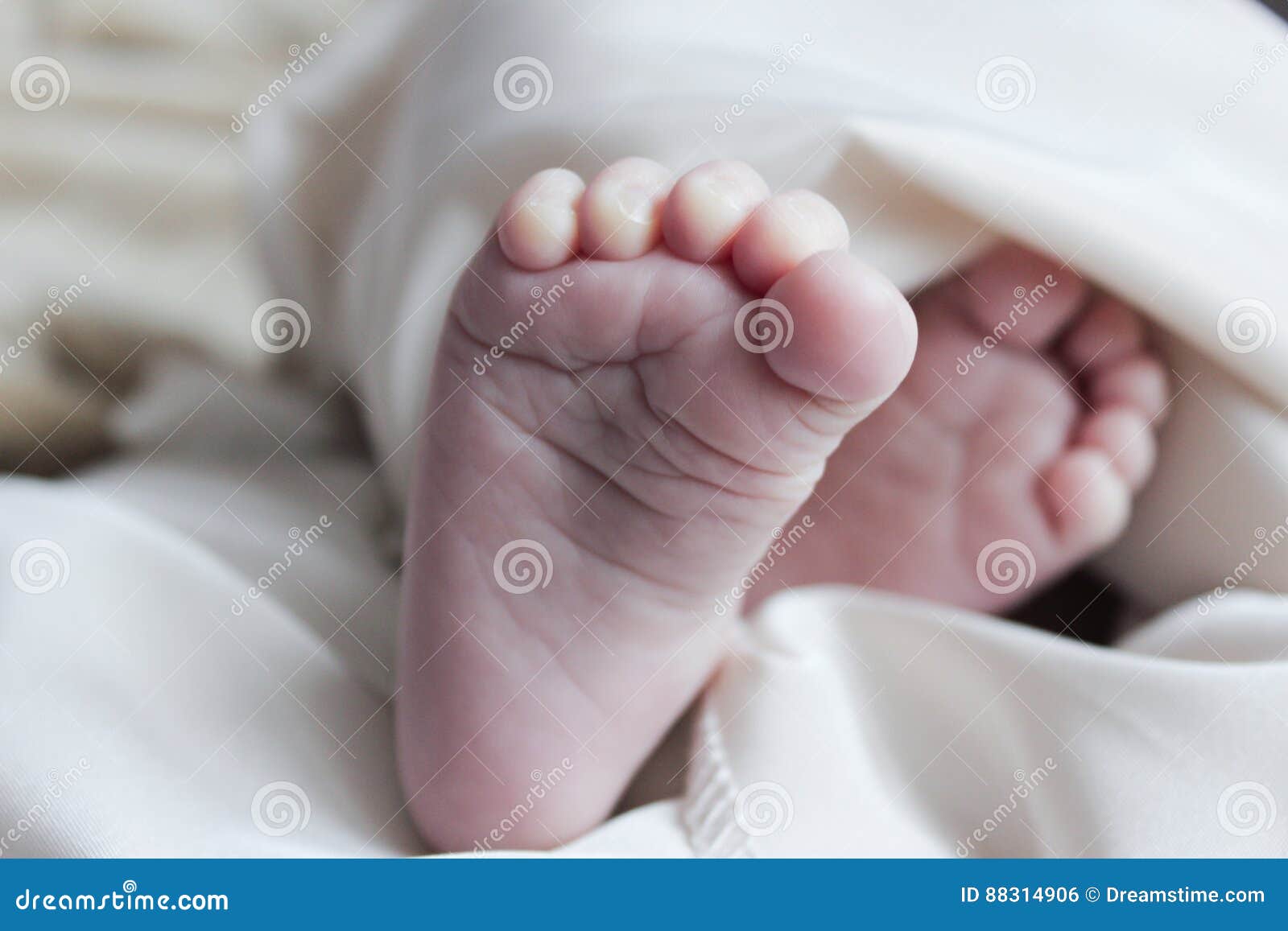 Foot of the newborn 5 stock photo. Image of nnspell, newborn - 88314906