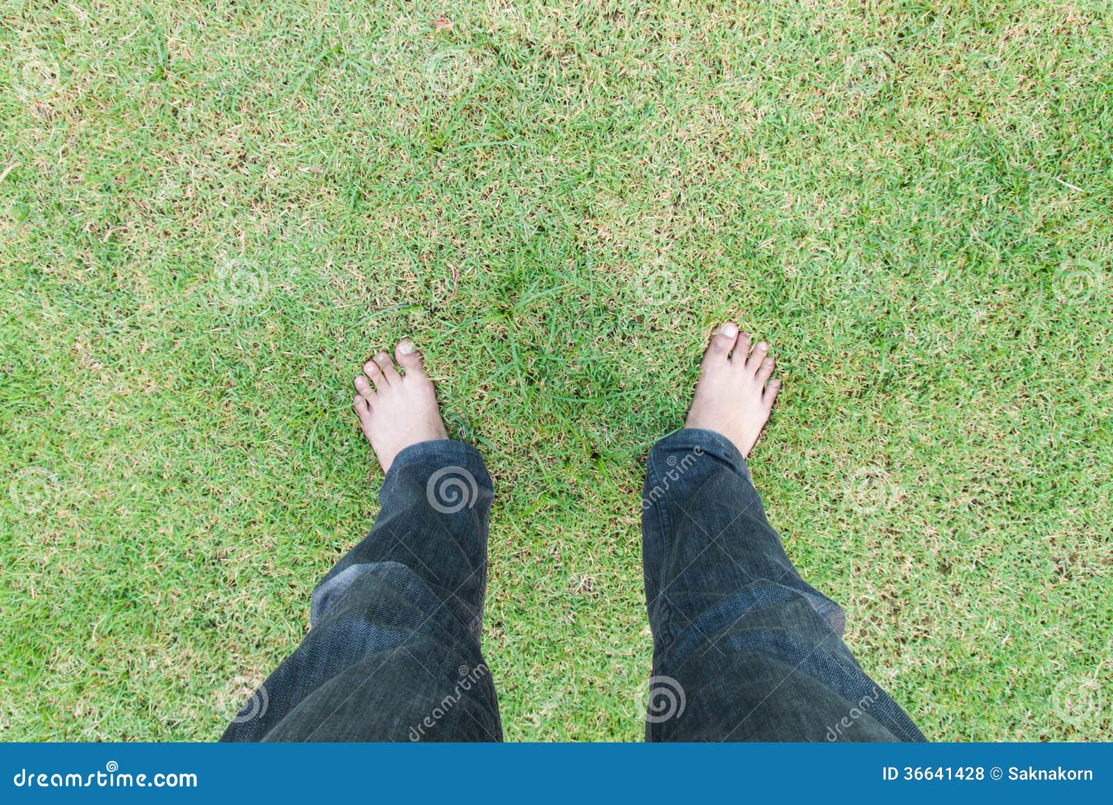 Foot over green grass stock photo. Image of healthy, foot - 36641428