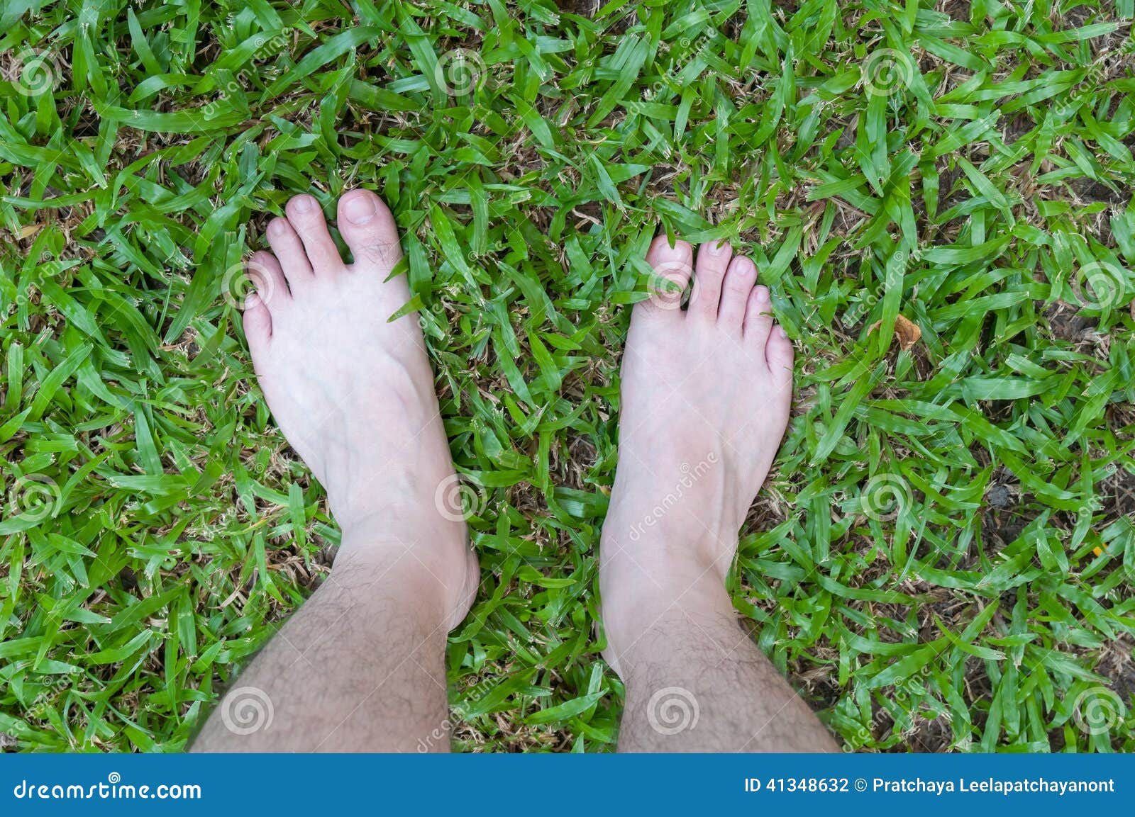 Foot over green grass stock photo. Image of legs, people - 41348632