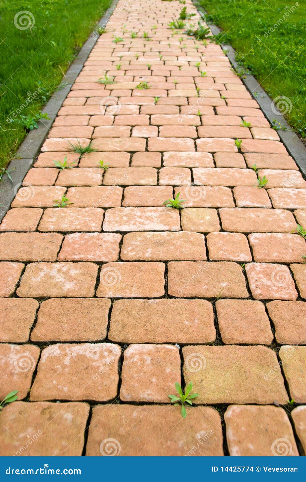 Foot path stock photo. Image of geometric, garden, cobblestone - 14425774