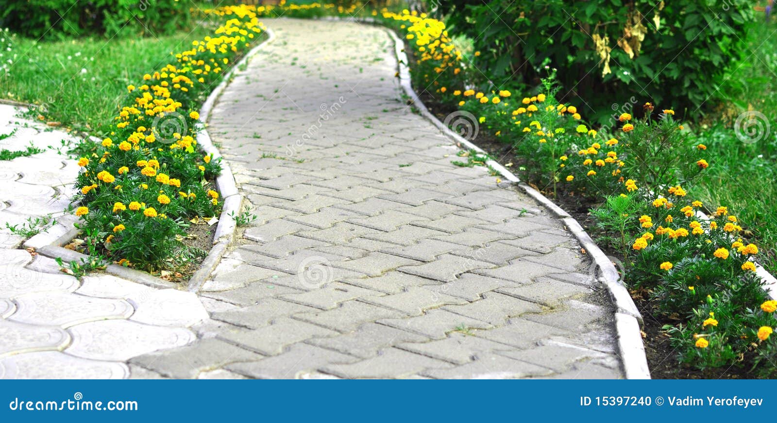 Foot path stock photo. Image of steps, walkway, botany - 15397240