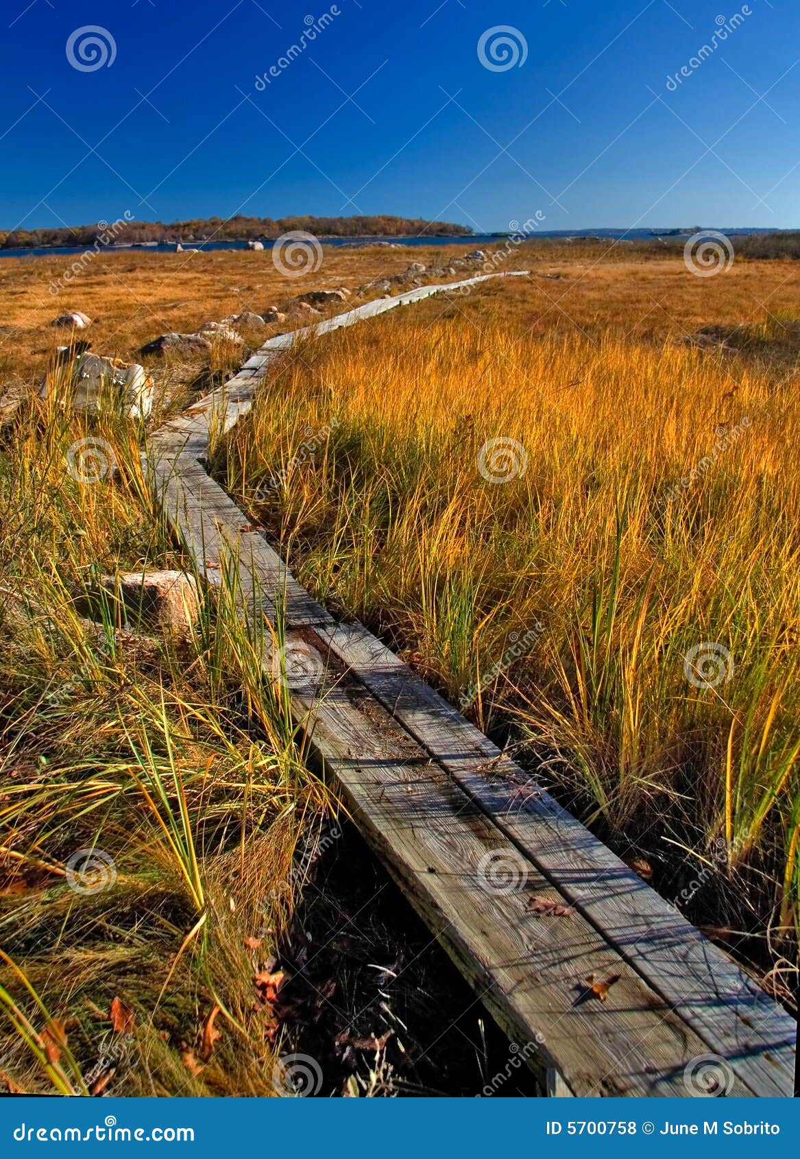 Foot Path stock photo. Image of east, trail, recreation - 5700758