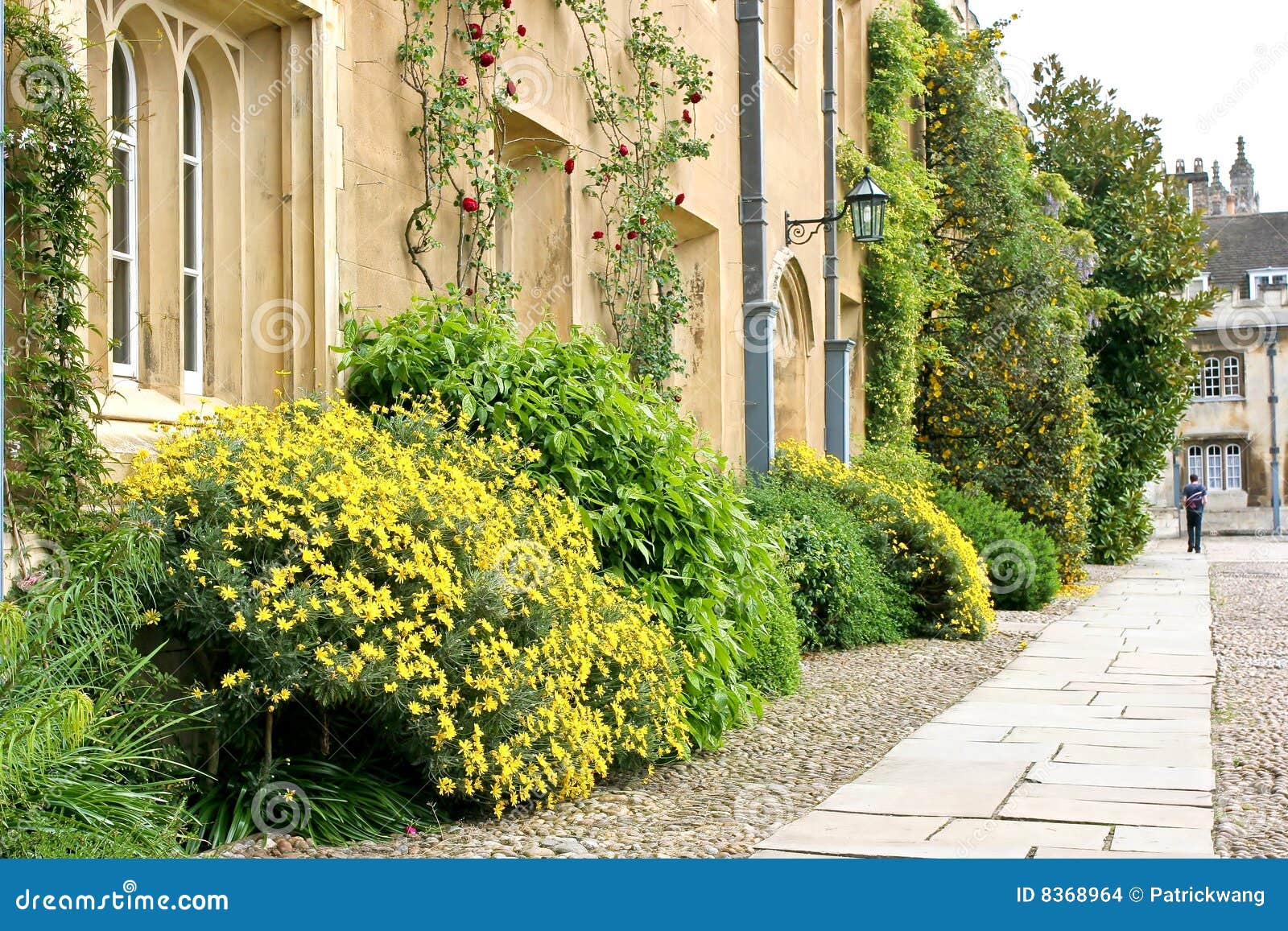 Foot path stock photo. Image of town, road, vacation, cambridge - 8368964