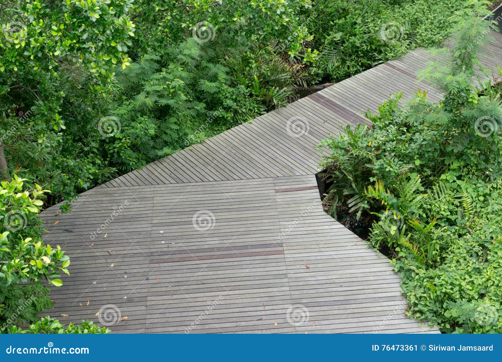 Foot path stock image. Image of park, environment, view - 76473361