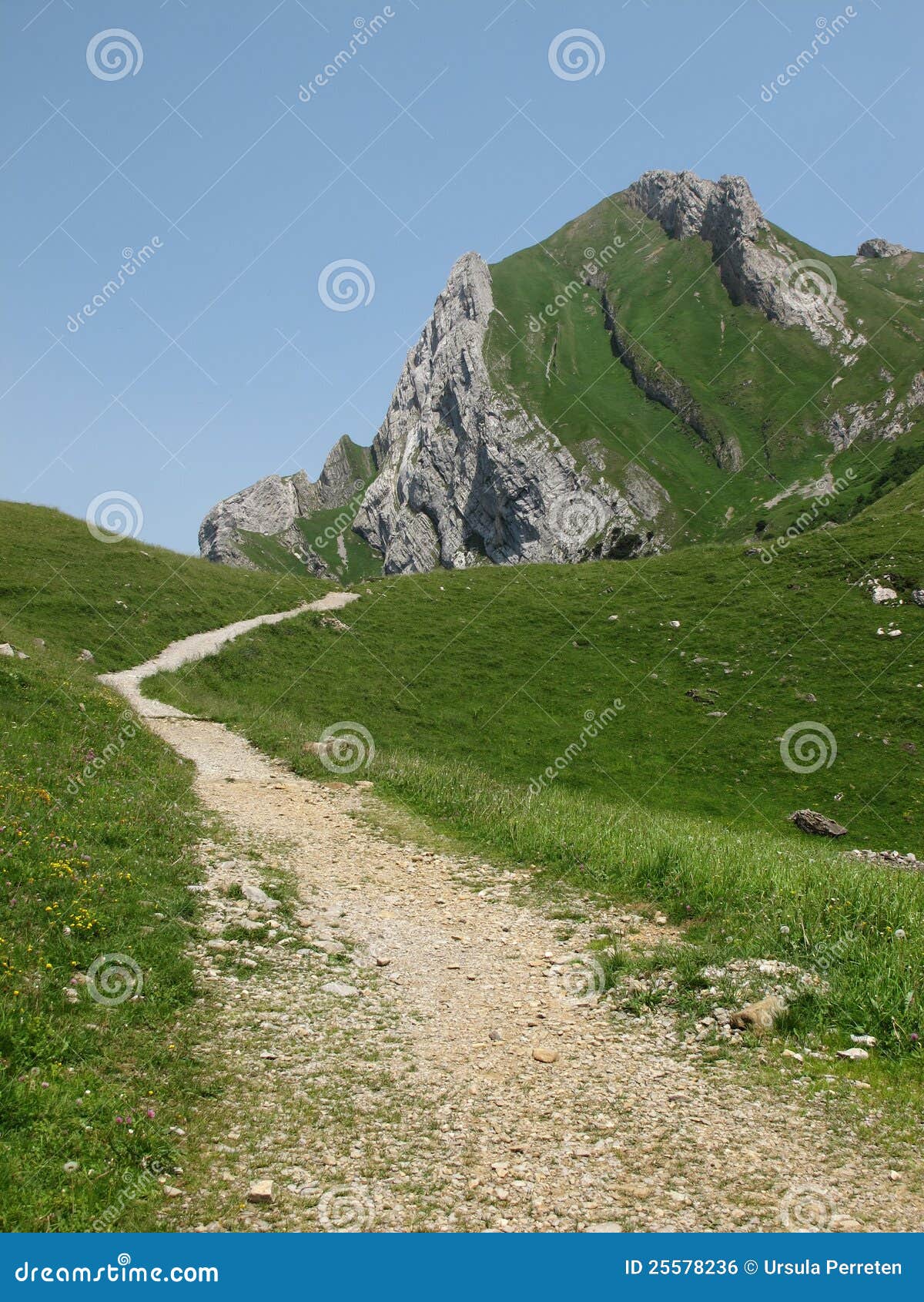 Foot-path in the mountains stock photo. Image of foot - 25578236