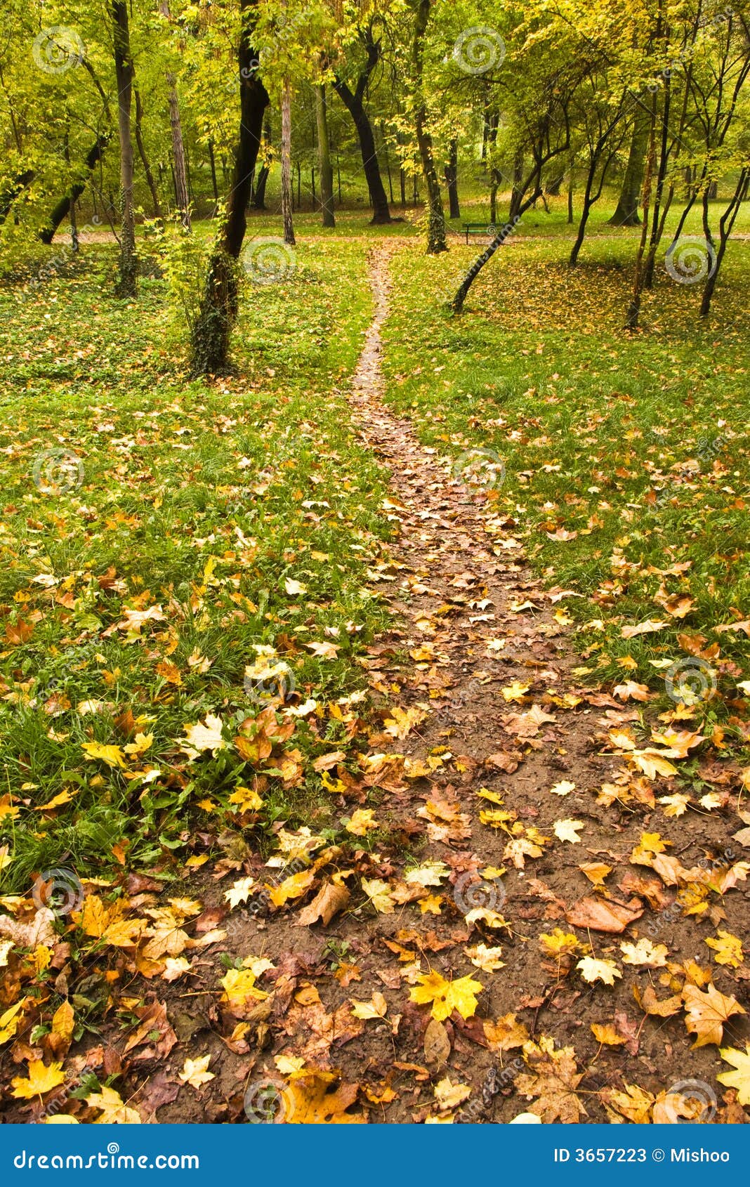 Foot path in park stock image. Image of autumn, passing - 3657223