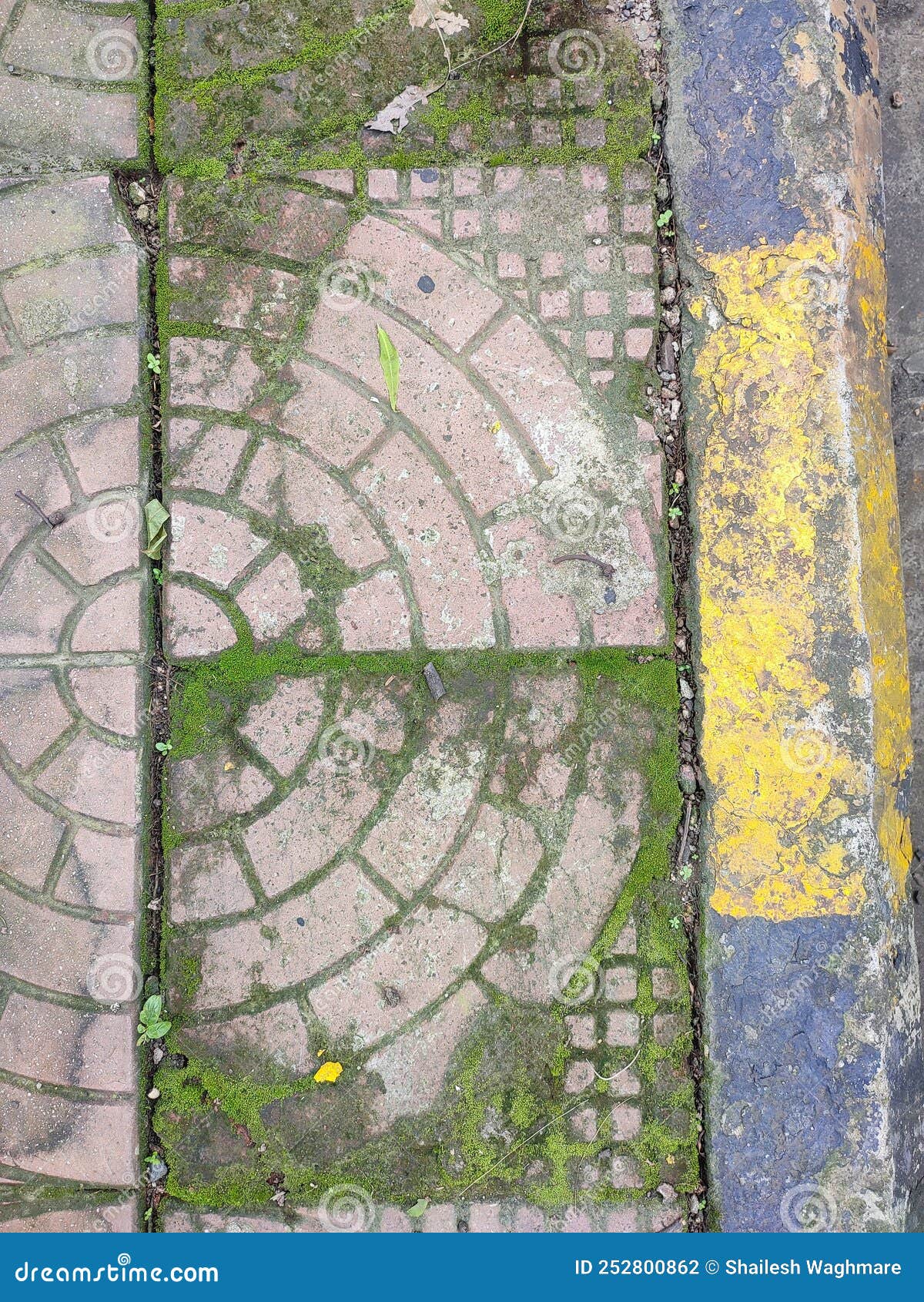 A Path From Tiles Enveloping A Flower Bed With A Designer Lawn Against ...