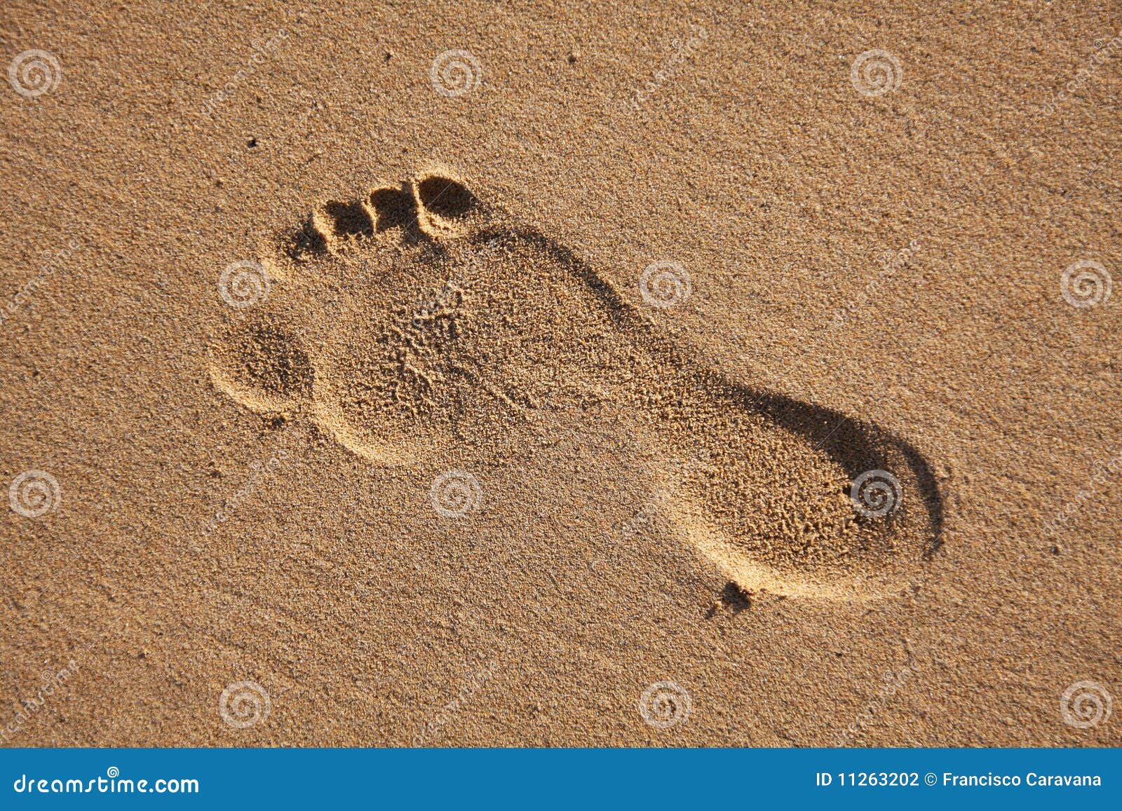 Foot print stock photo. Image of feet, brown, print, toes - 11263202
