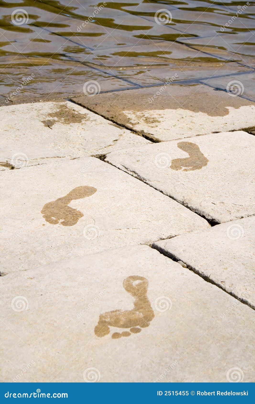 Foot Print. stock image. Image of concrete, material, artwork - 2515455
