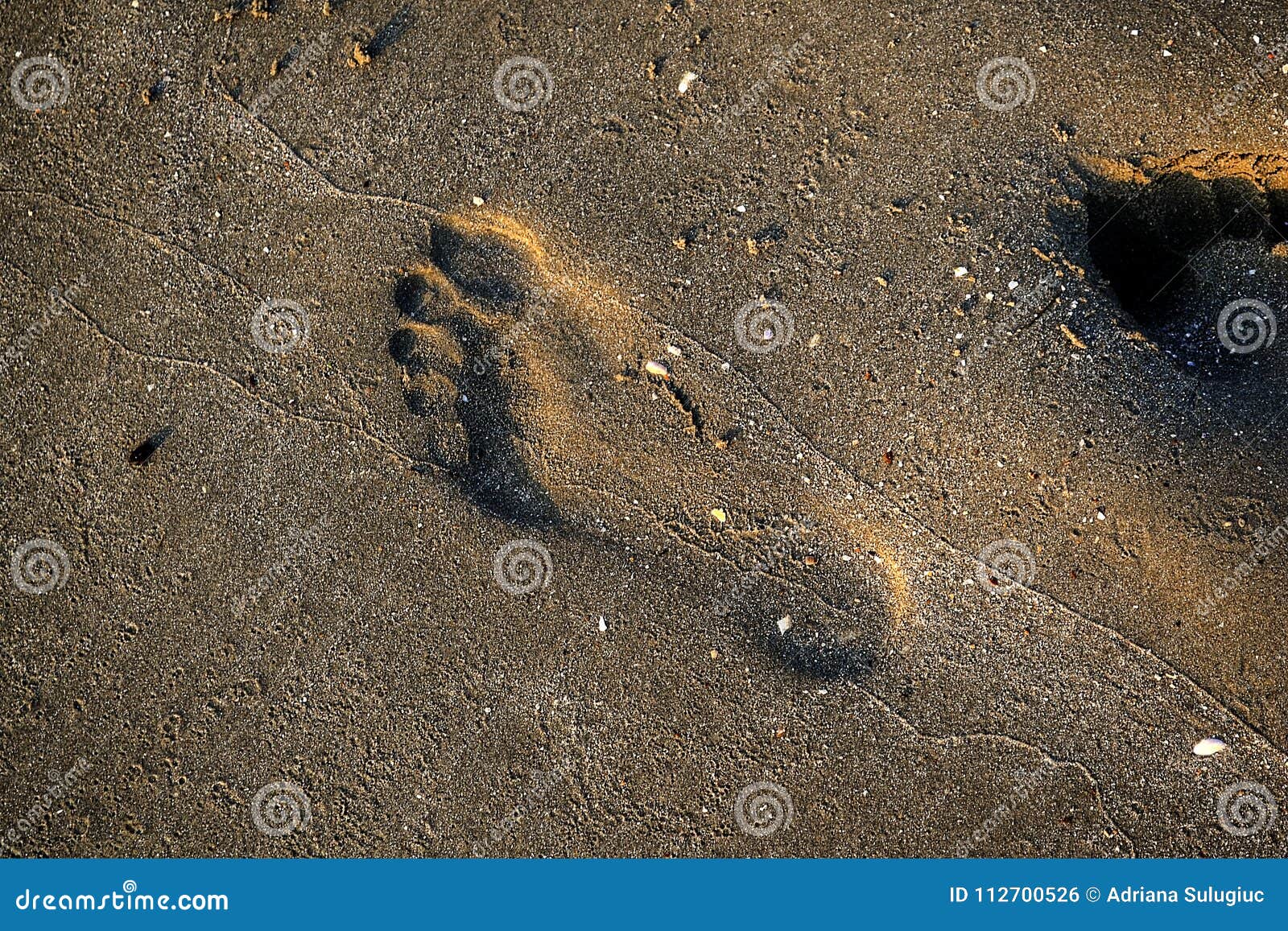 Steps on the sand stock photo. Image of sand, footstep - 112700526