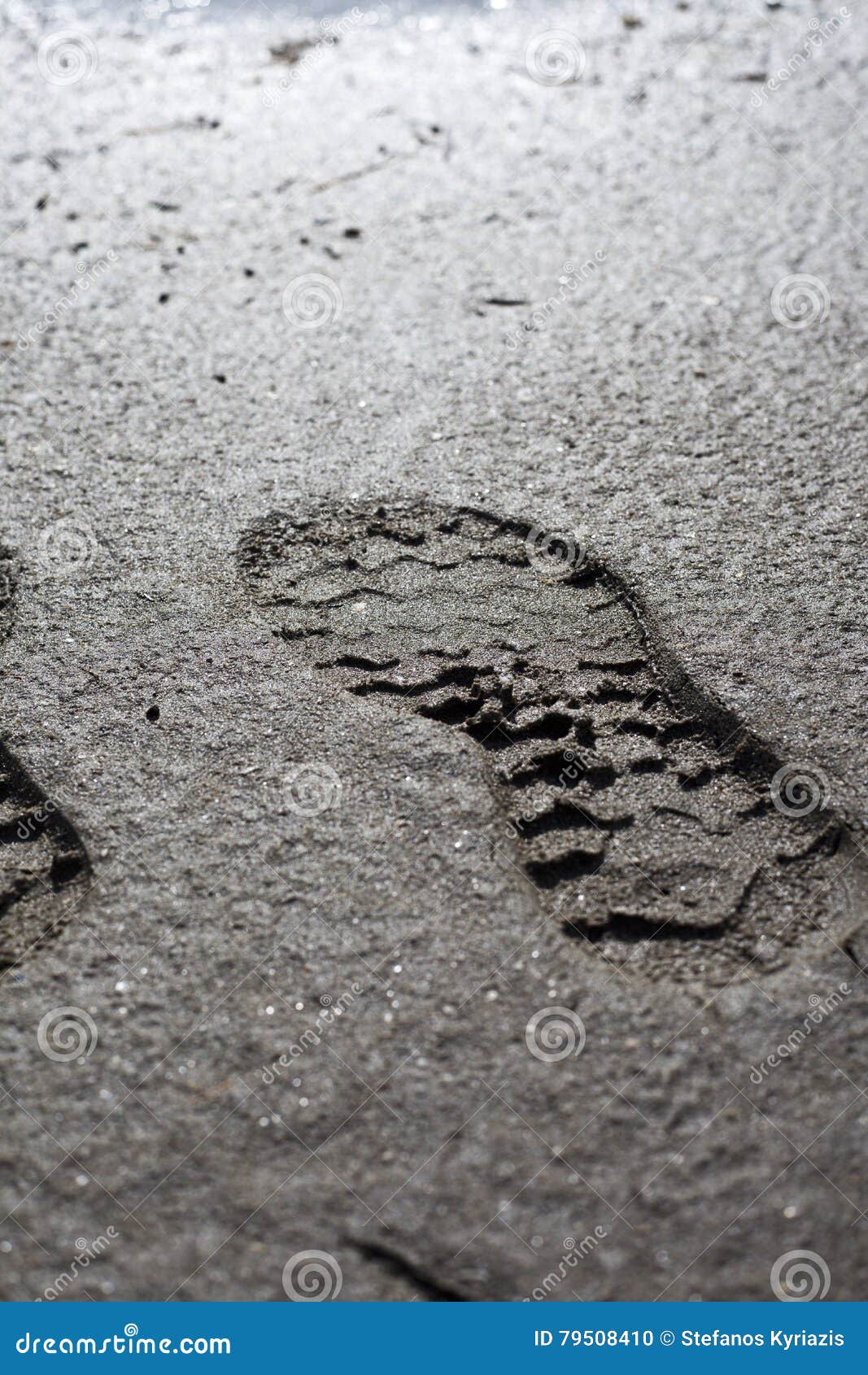 Foot print on mold stock photo. Image of footsteps, mold - 79508410