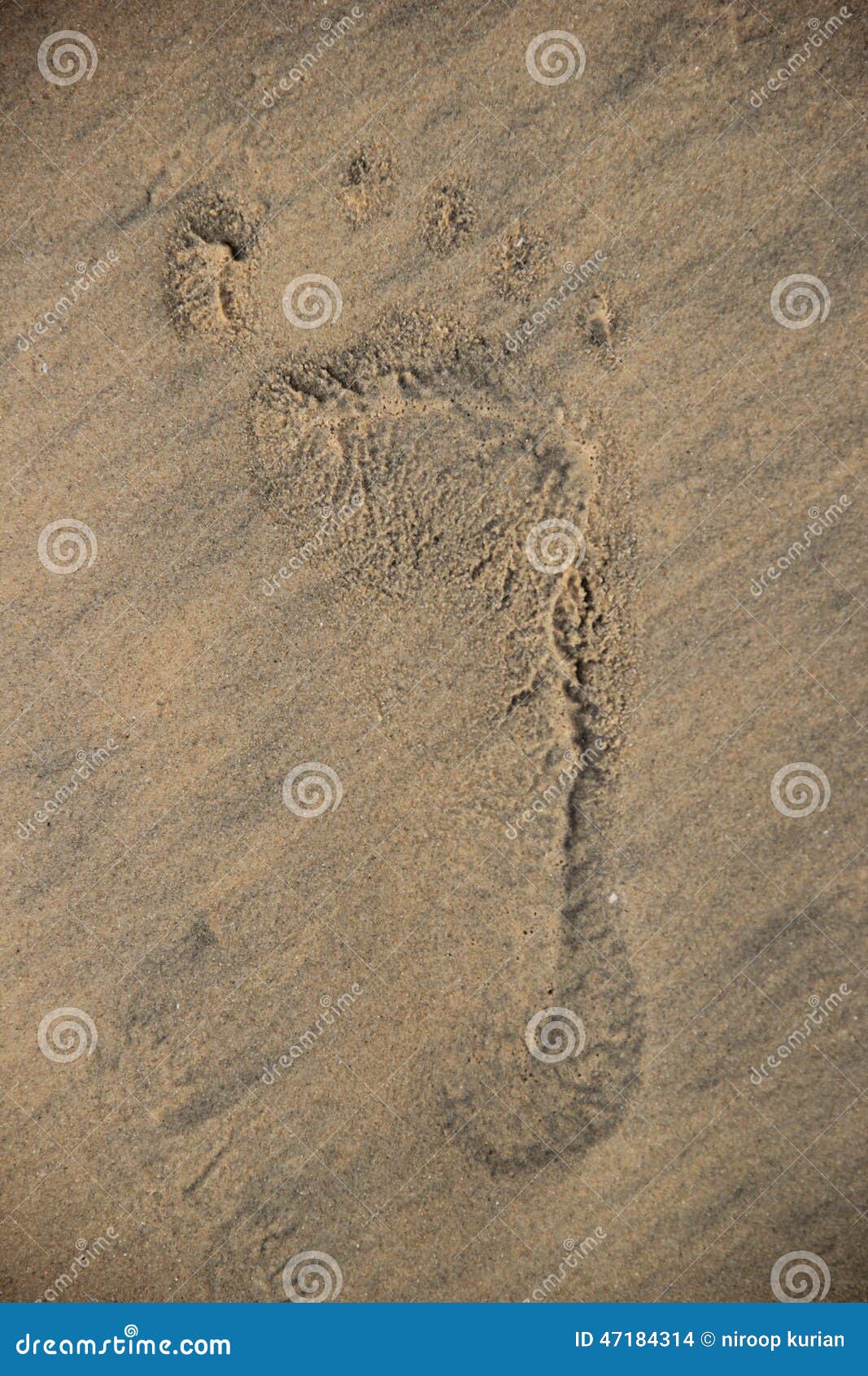 Foot print stock photo. Image of real, print, foot - 47184314