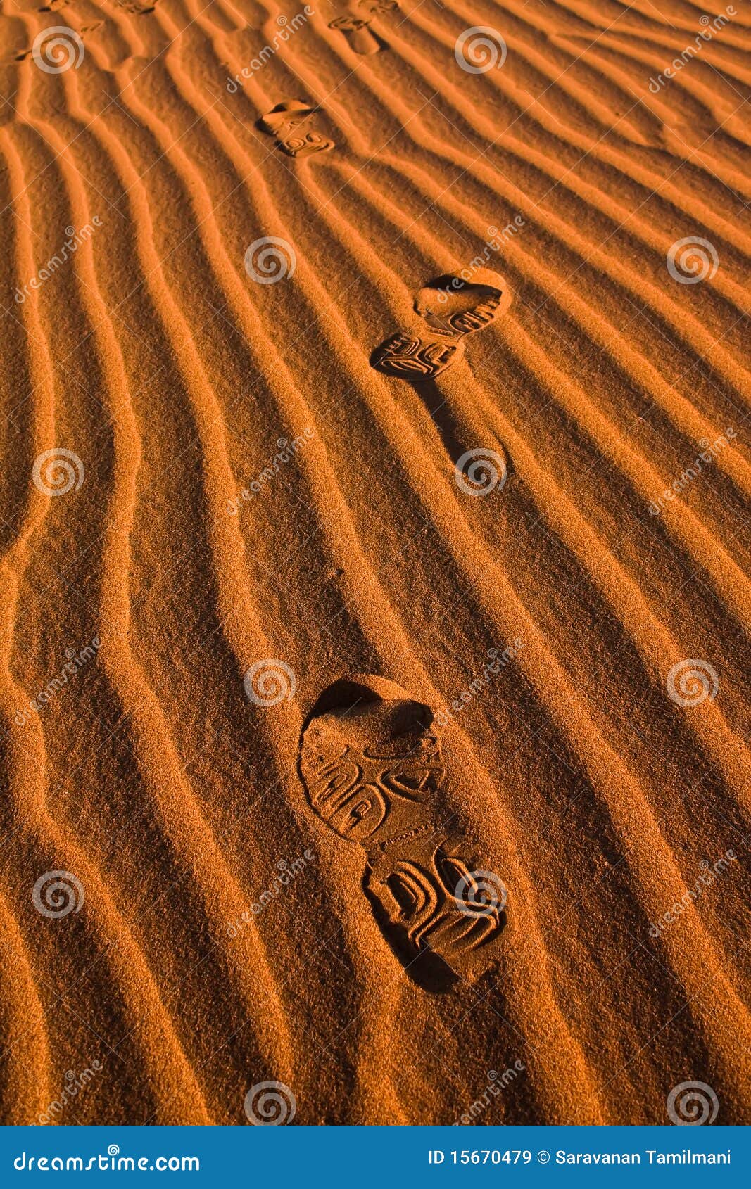 Foot Print in Sahara Desert Stock Image - Image of morocco, north: 15670479