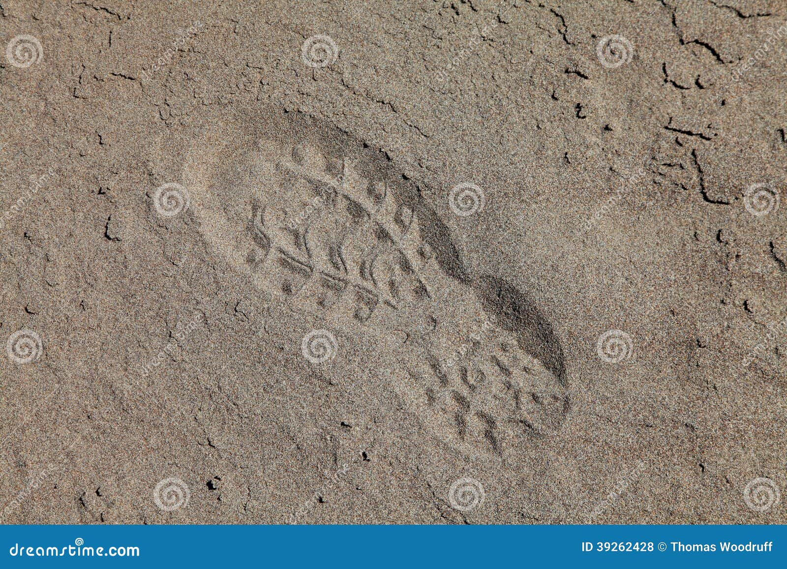 Foot print in the sand stock photo. Image of nature, footprint - 39262428