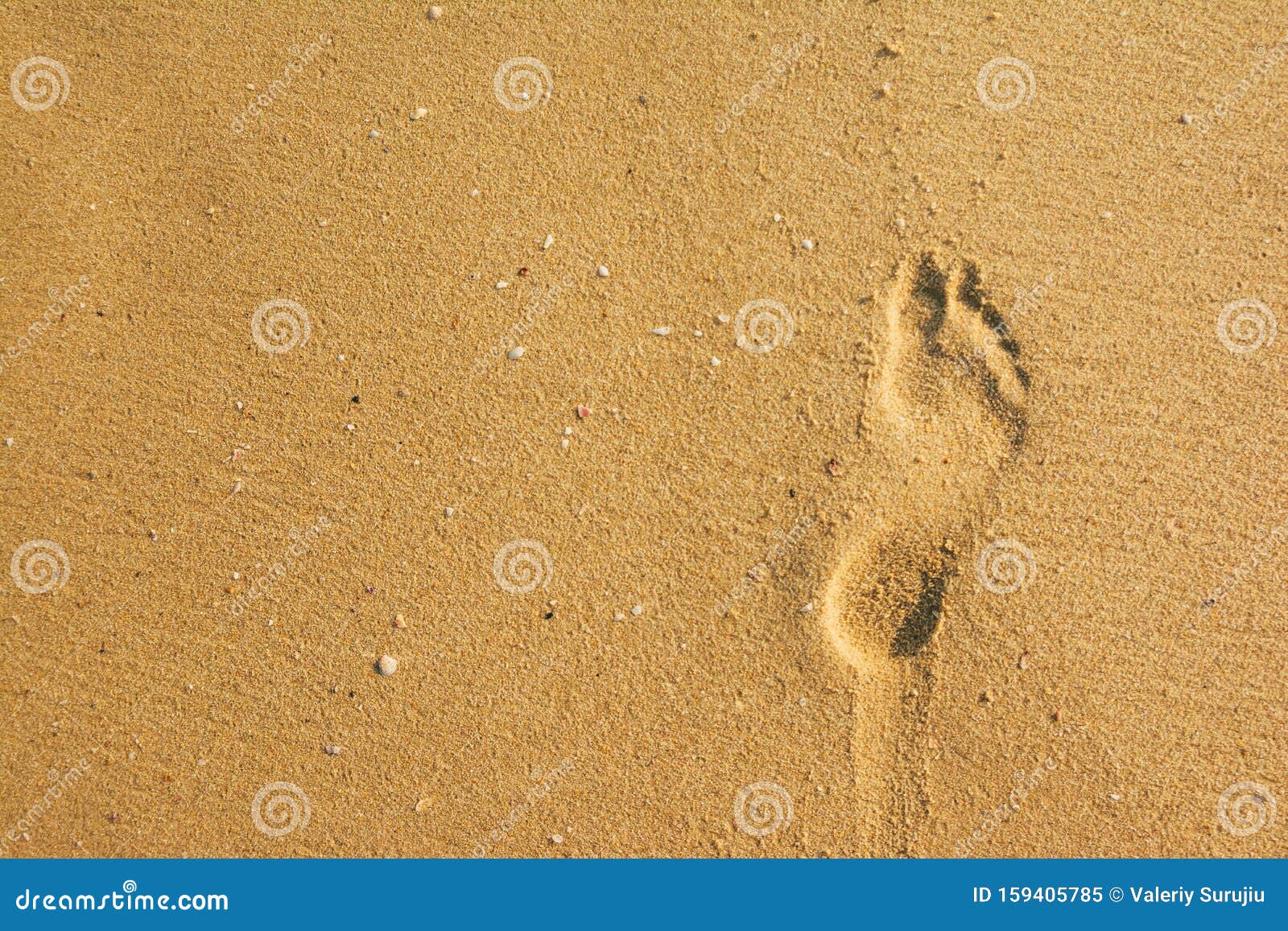 Foot print on the sand stock image. Image of sand, ocean - 159405785
