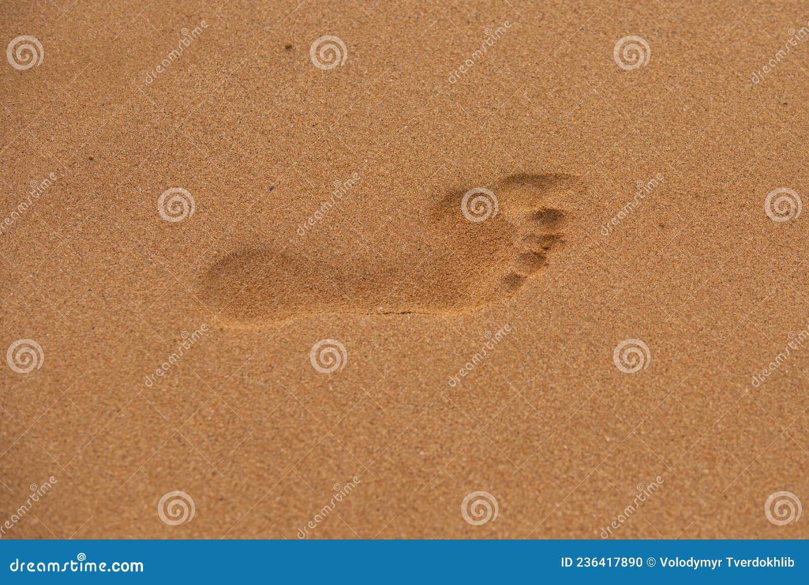 Closeup Footprints On The Wooden Floor Behind It Swimming Pool Stock ...