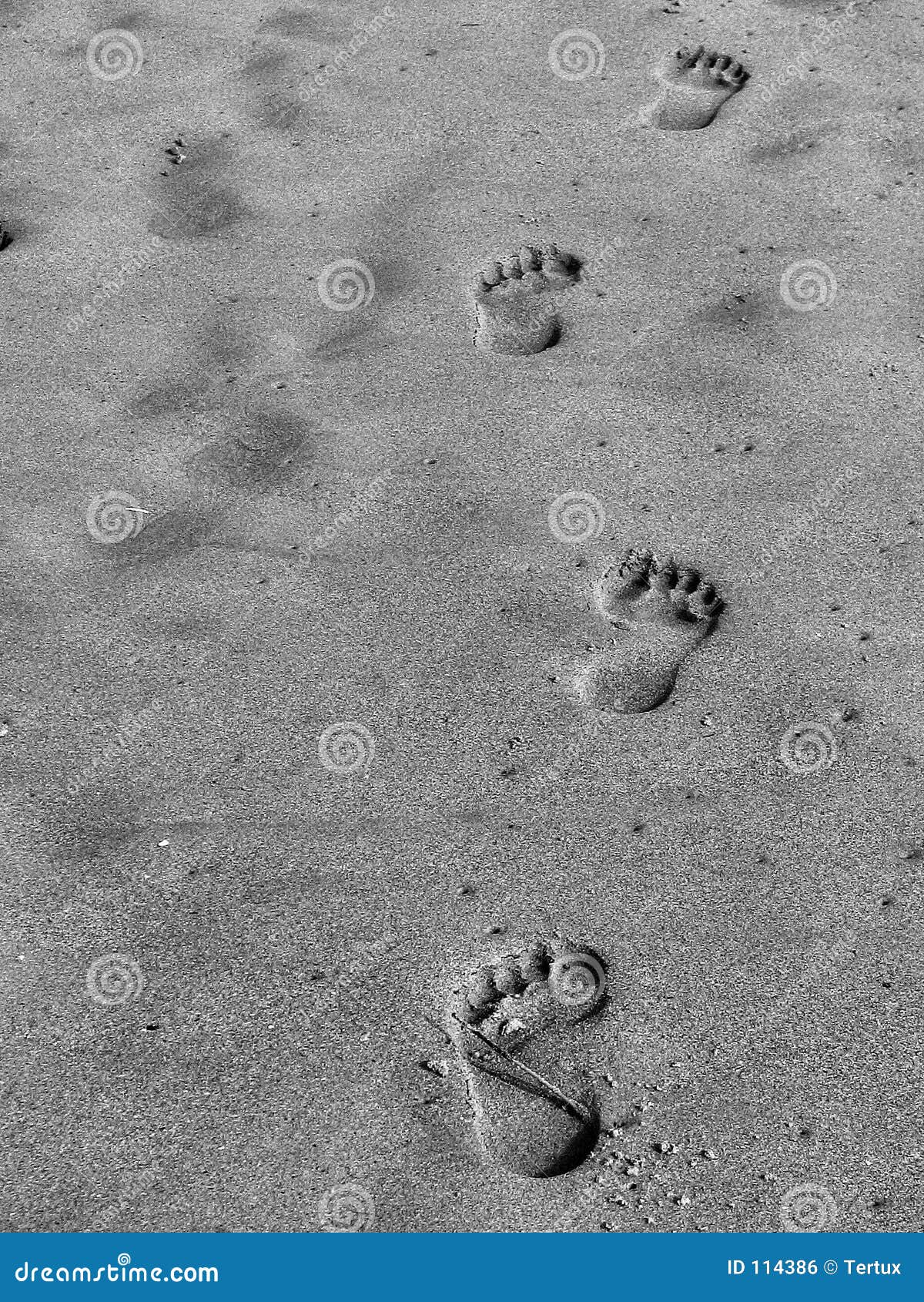 Foot prints stock photo. Image of footprint, textures, background - 114386