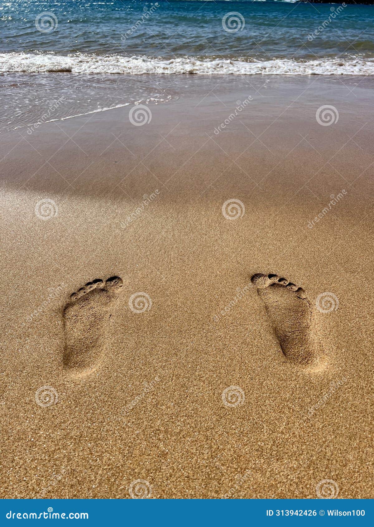 Foot Prints on Beach stock photo. Image of relax, alone - 313942426
