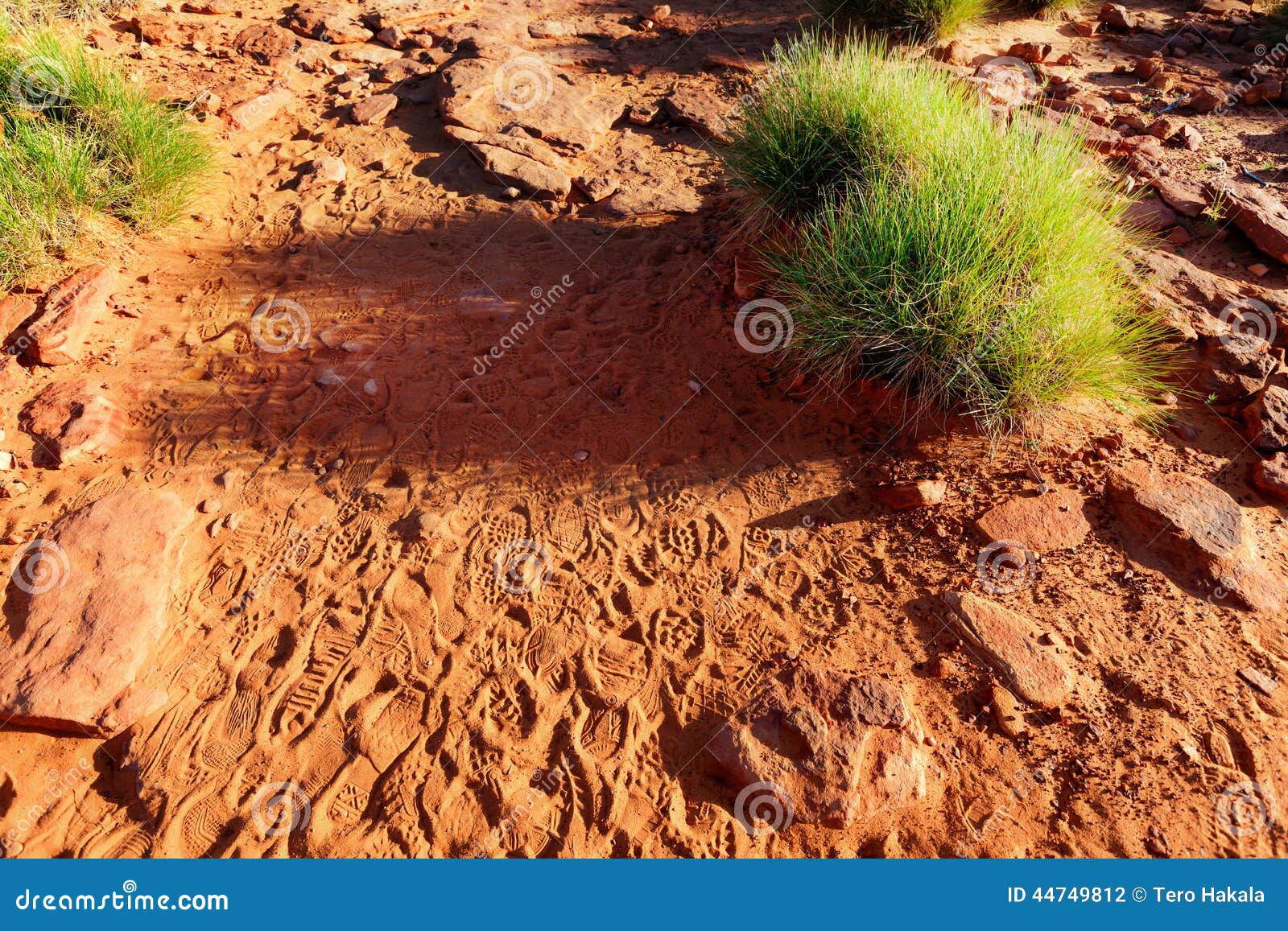 Foot Prints on Dry Orange and Ground in Australian Outback Stock Photo ...