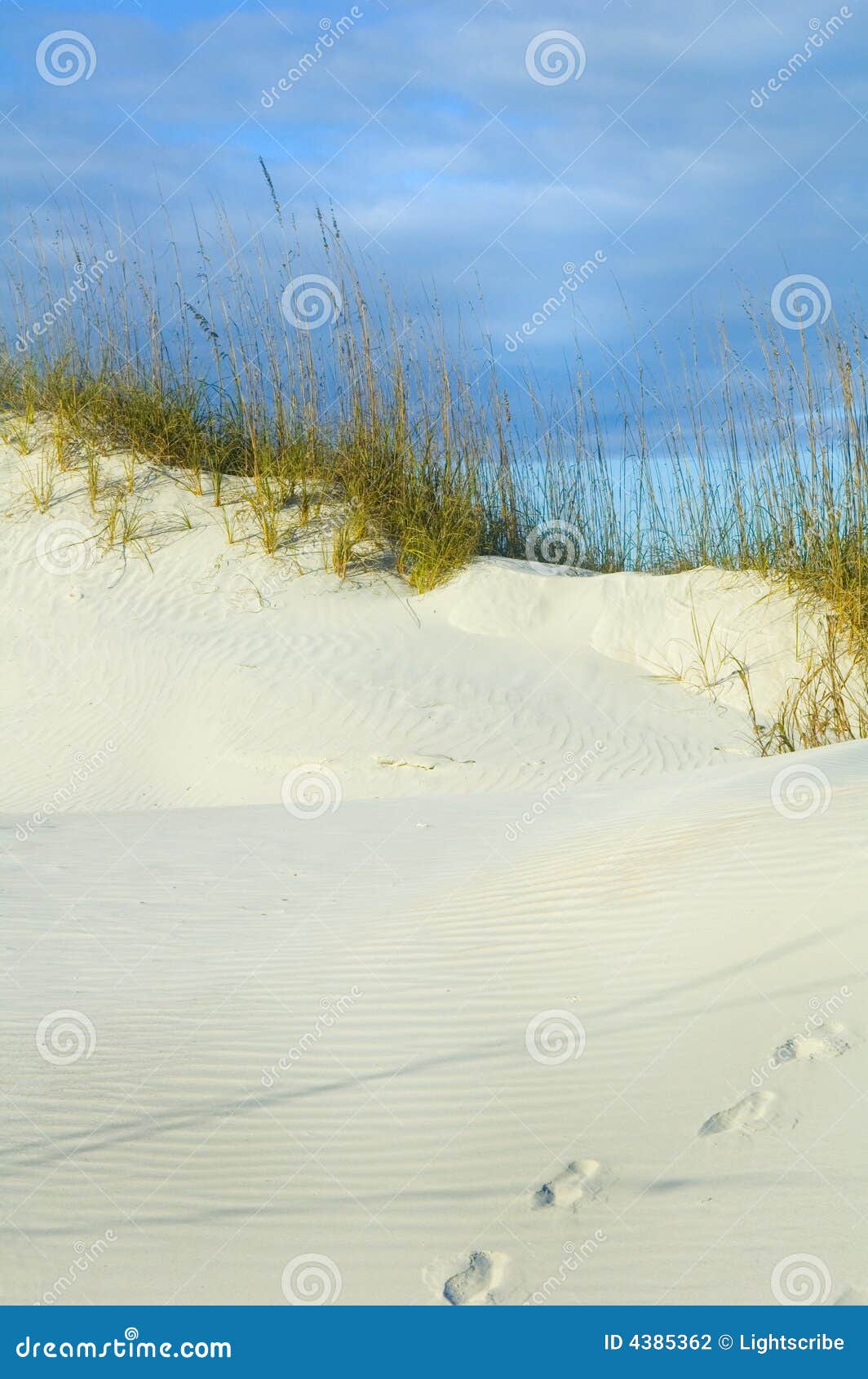 Foot prints on dune stock photo. Image of natural, nature - 4385362