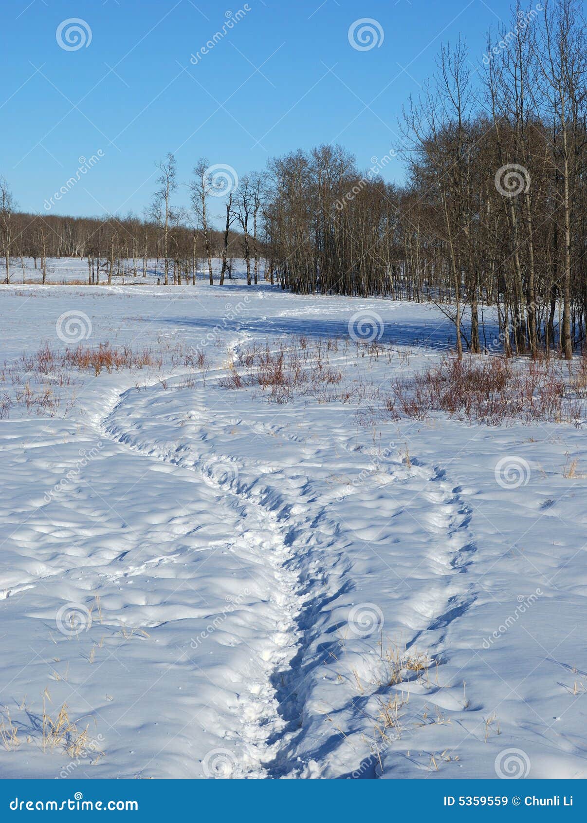 Elk Foot Prints Stock Photos - Free & Royalty-Free Stock Photos from ...