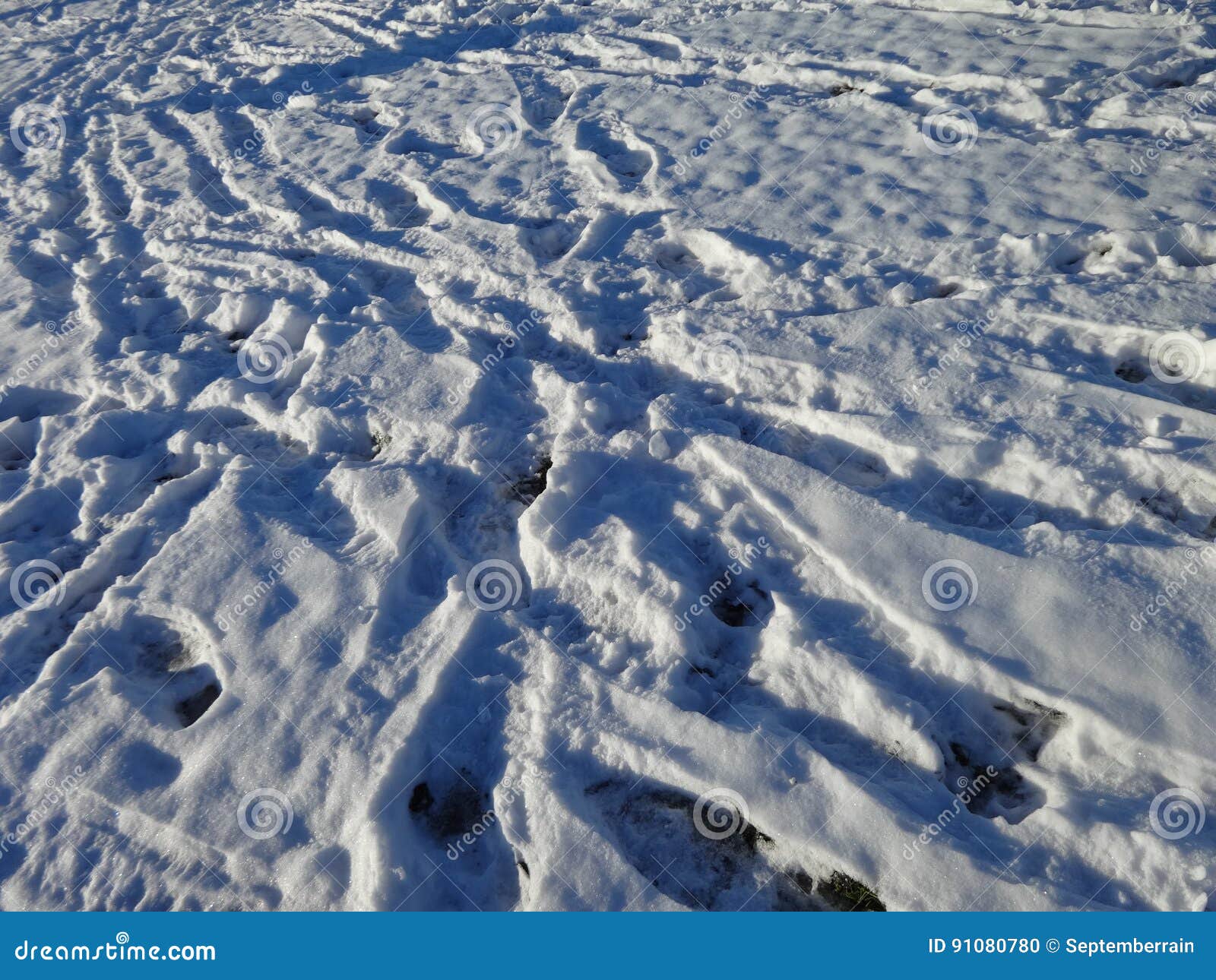 393 Foot Snow Sidewalk Stock Photos - Free & Royalty-Free Stock Photos ...