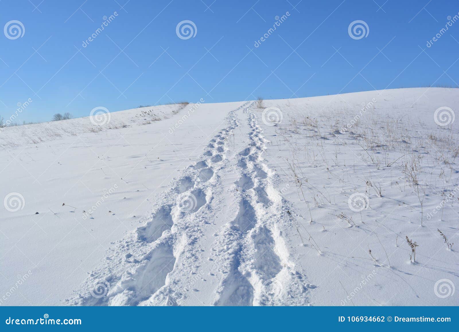 Foot Prints in the Snow stock photo. Image of foot, winter - 106934662