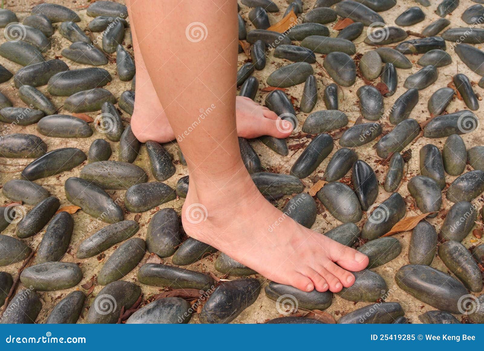Foot reflexology stock image. Image of path, healthcare - 25419285