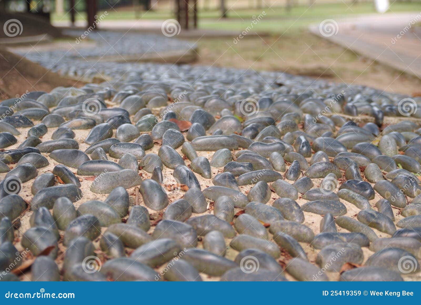 Foot reflexology path. stock image. Image of stone, healthcare - 25419359