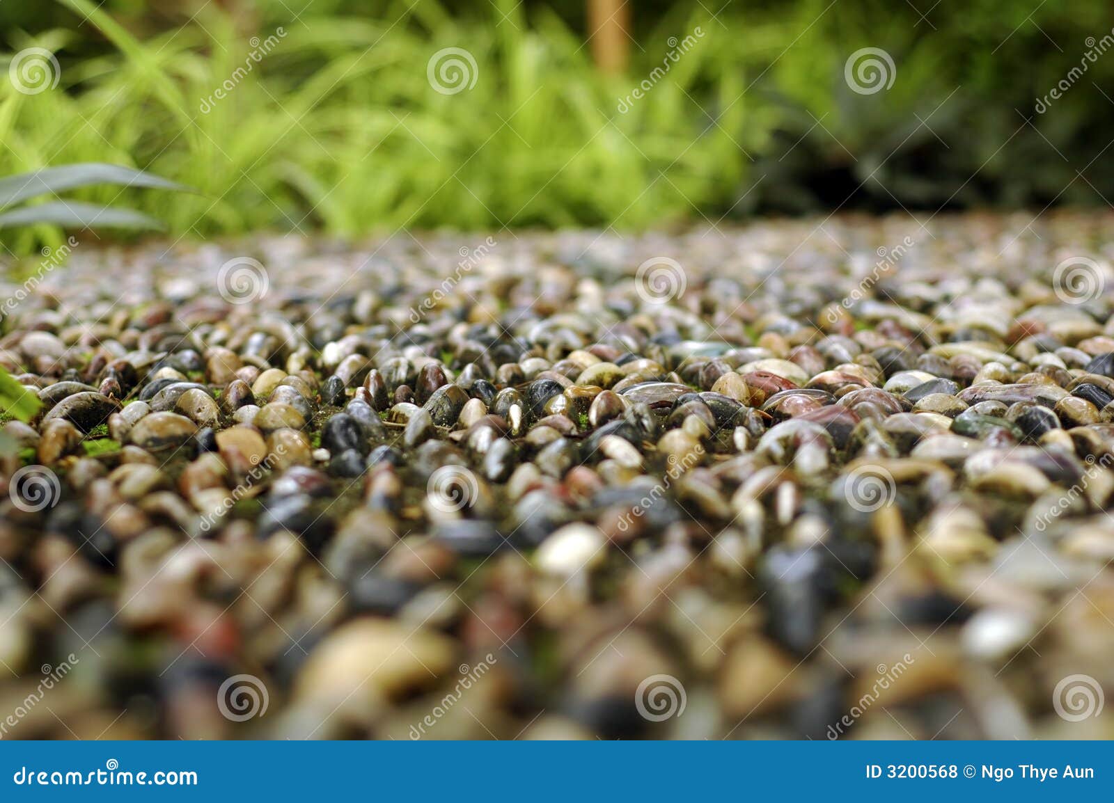 Foot Reflexology Path stock photo. Image of foot, walk - 3200568