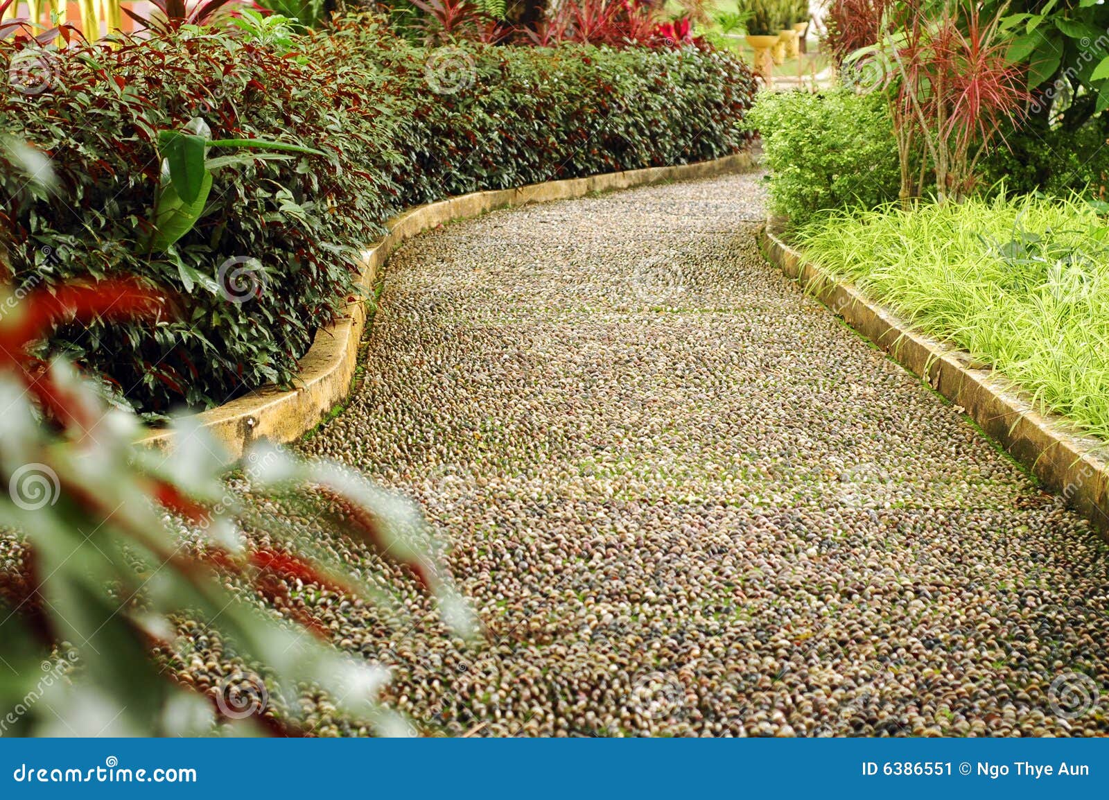 Foot Reflexology Path stock image. Image of foot, alternative - 6386551