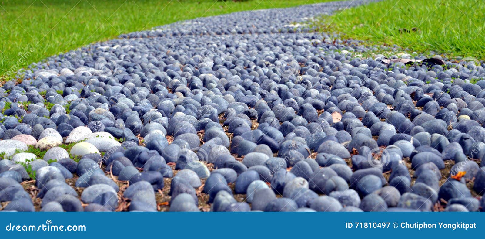 Foot reflexology walkway stock image. Image of foot, path - 71810497