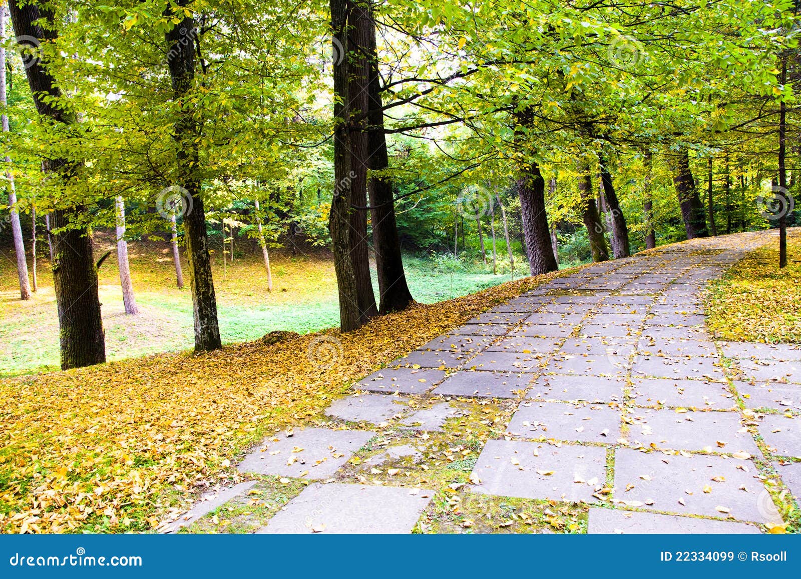 Foot road stock image. Image of autumnal, natural, grass - 22334099