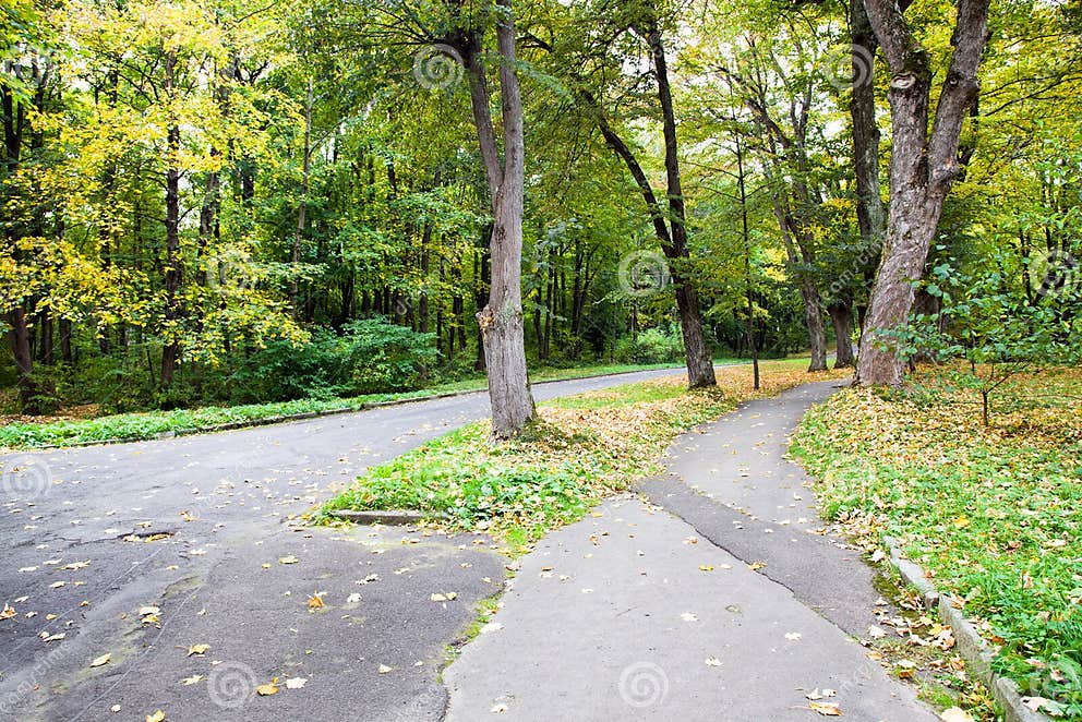Foot road stock photo. Image of outdoors, colours, foliage - 22484202