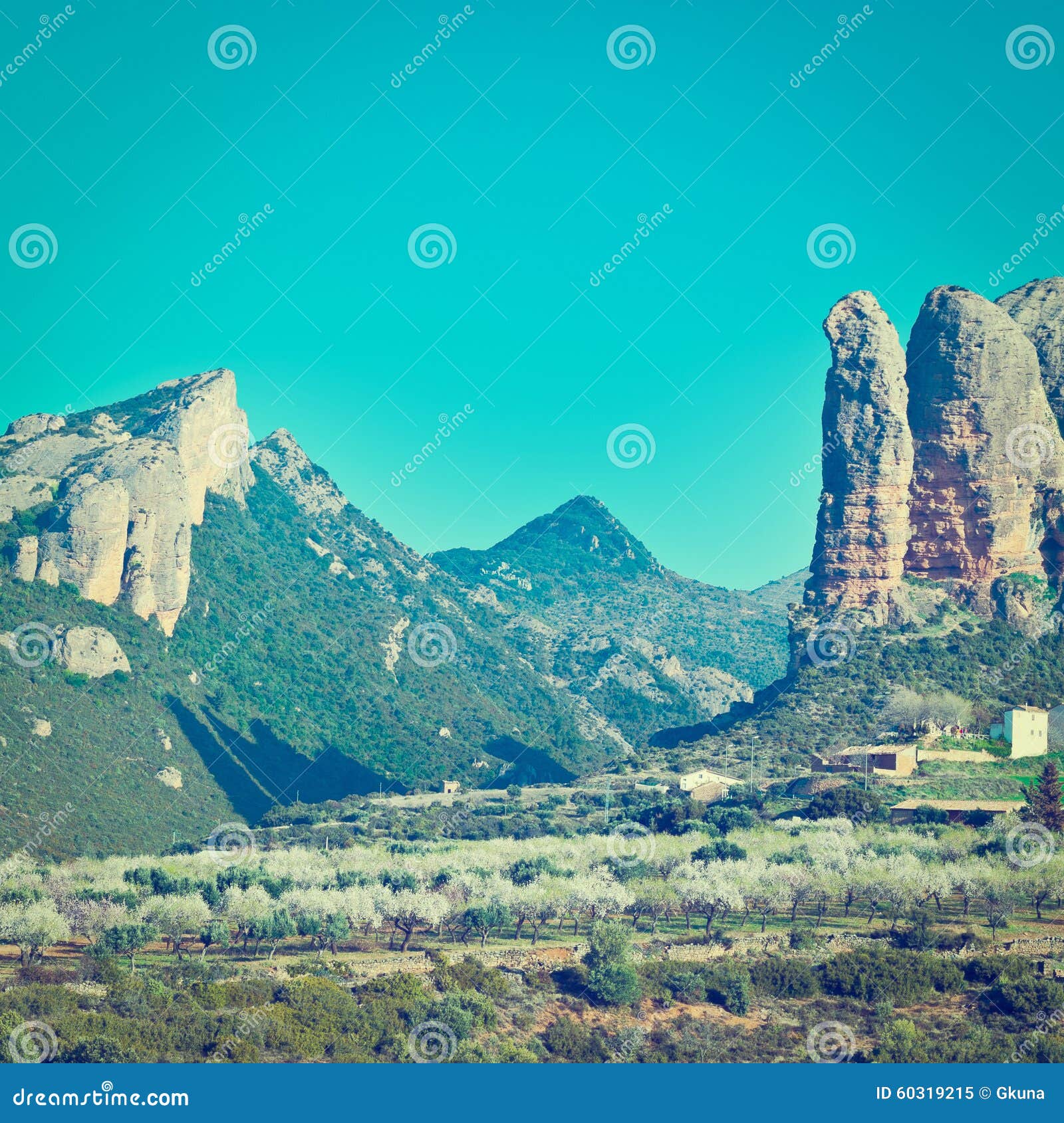 Foot of the Rocks stock image. Image of road, olive, almond - 60319215