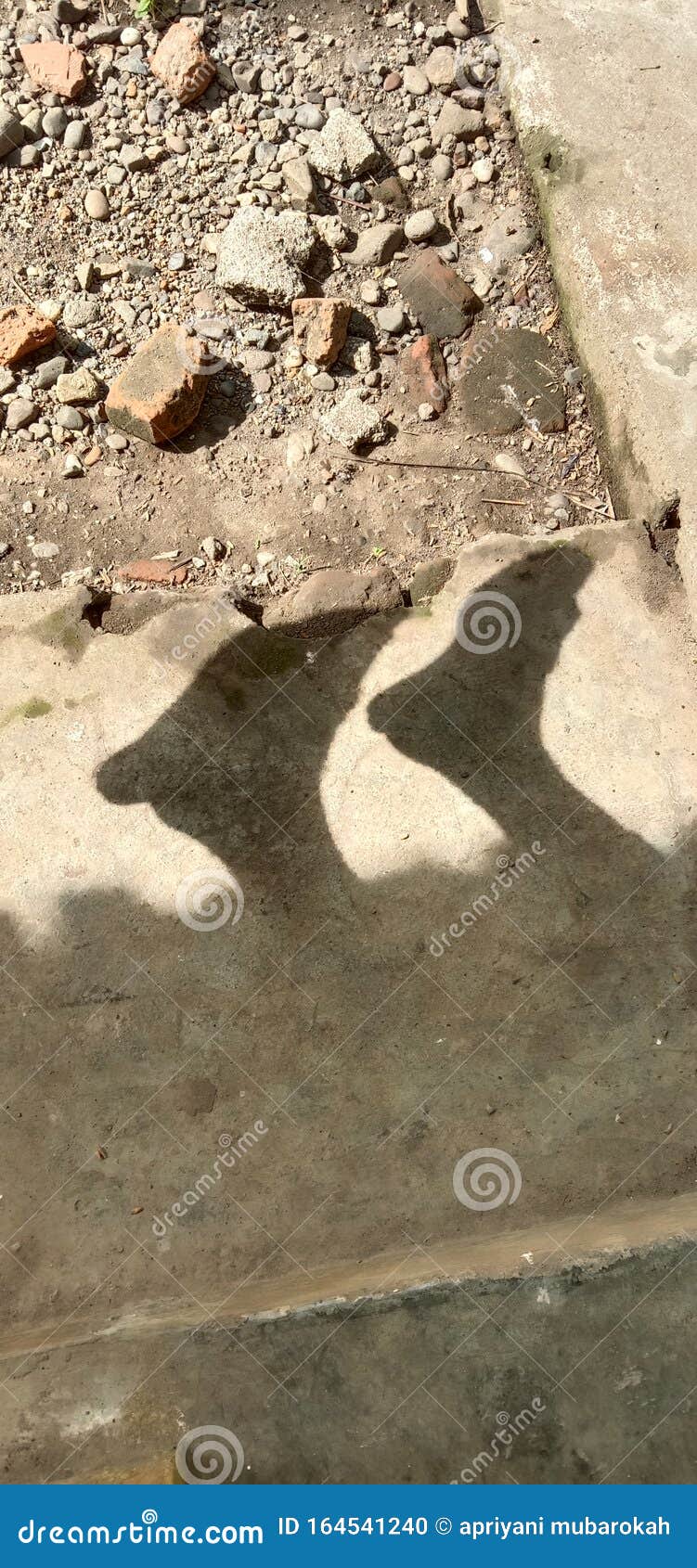 Foot shadow during the day stock photo. Image of foot - 164541240