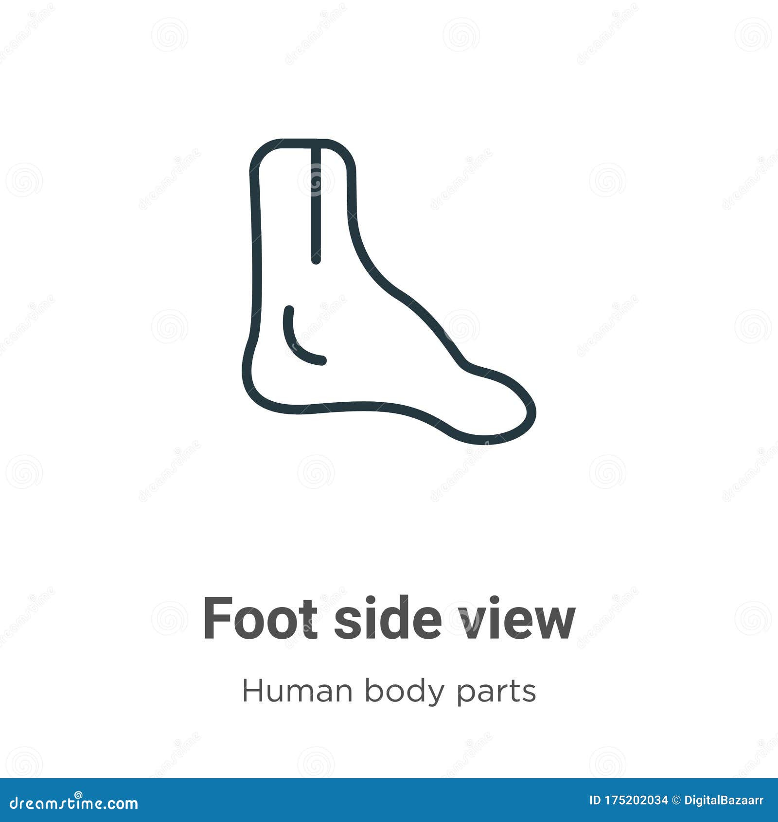 Foot Side View Outline Vector Icon. Thin Line Black Foot Side View Icon ...