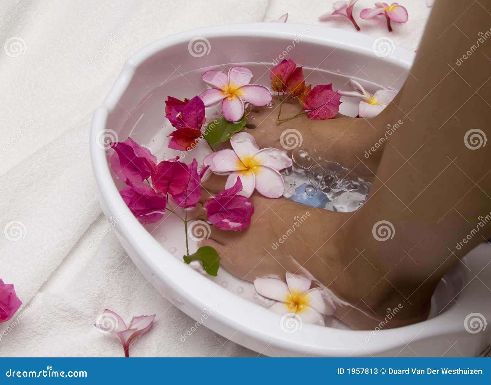 Foot spa stock image. Image of beauty, health, toes, flowers - 1957813