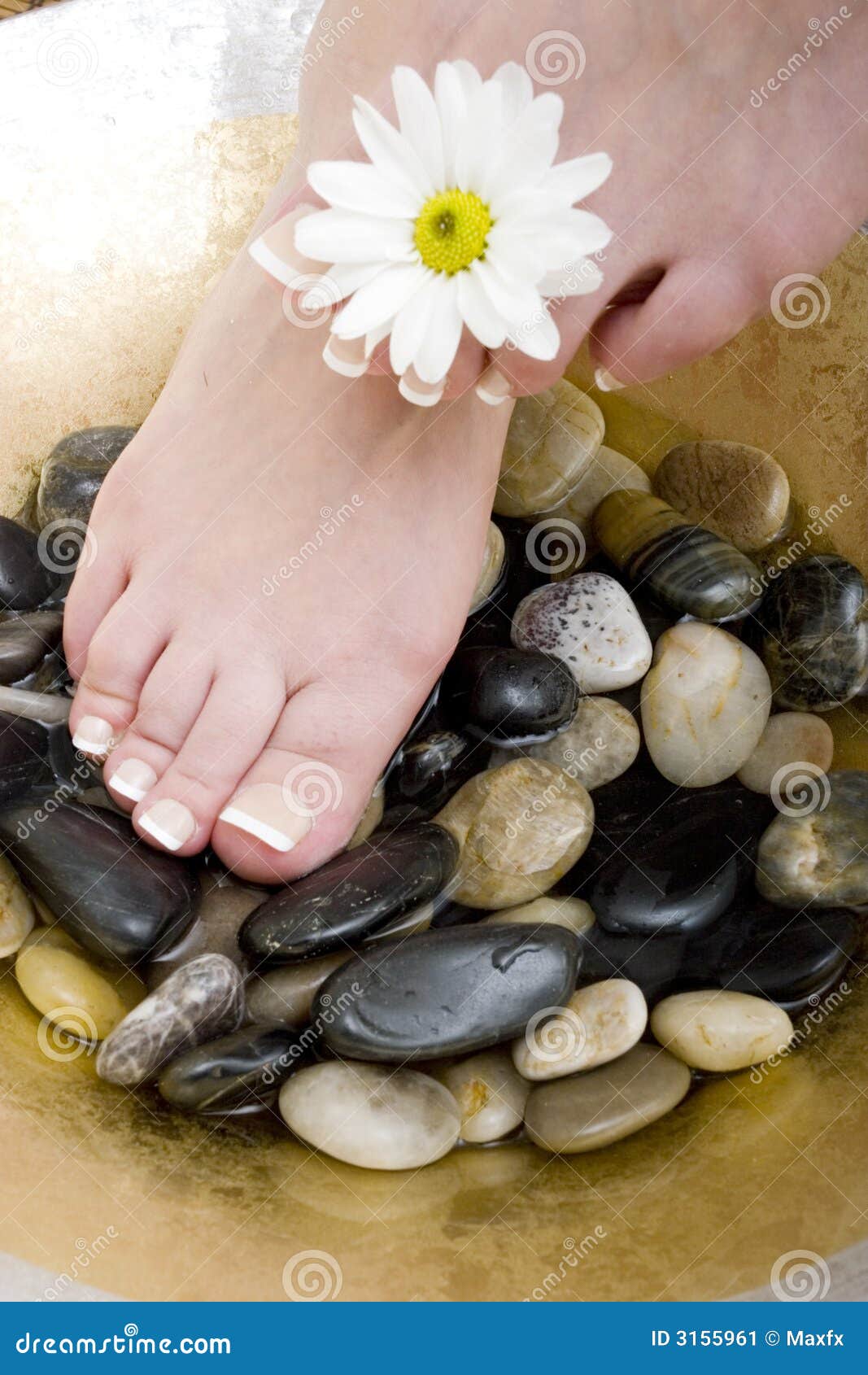 Foot spa stock image. Image of rejuvenation, hygiene, healthy - 3155961