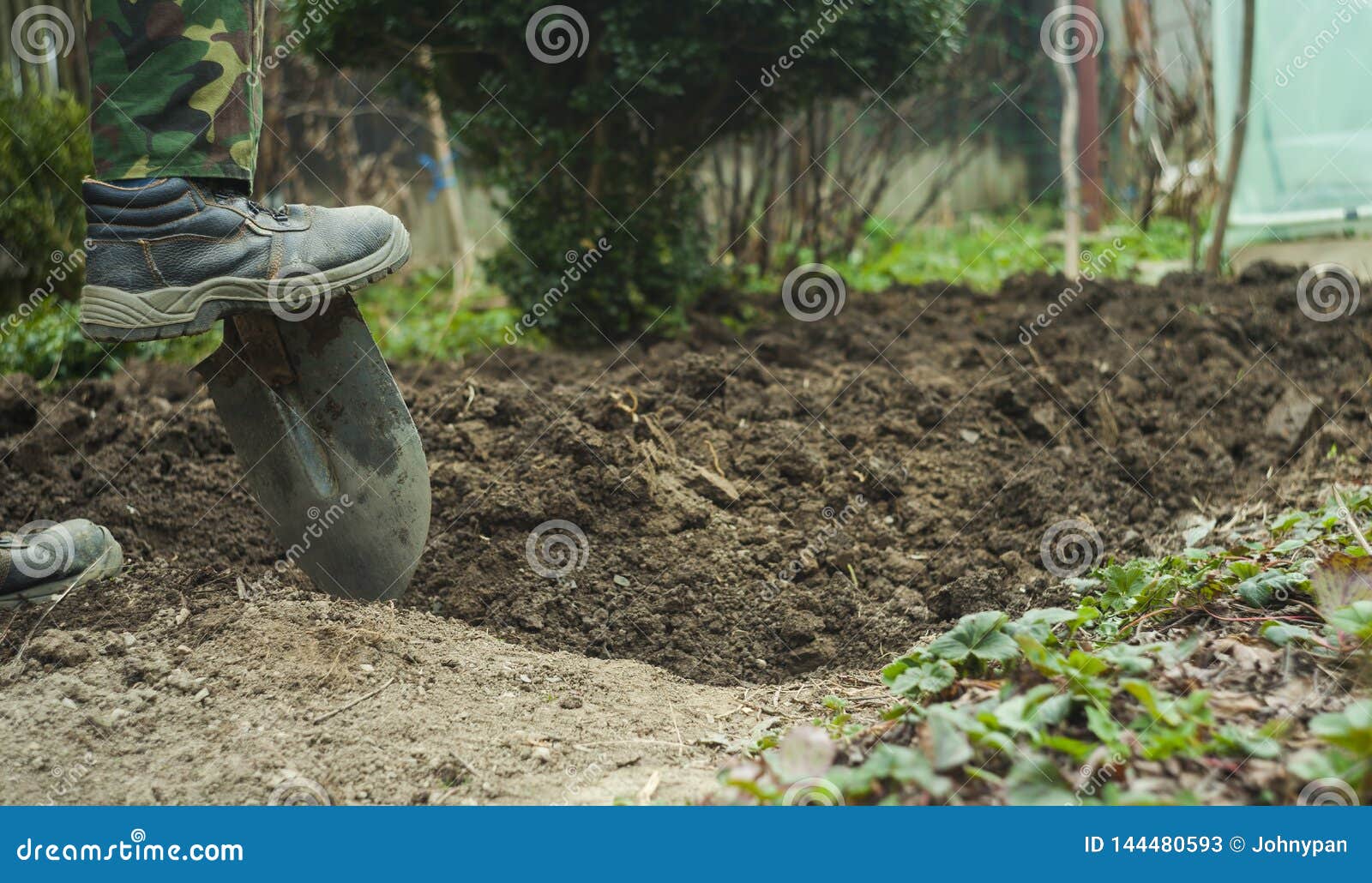 Foot with Spade in Dirt, Farmer Working Stock Image - Image of plant ...