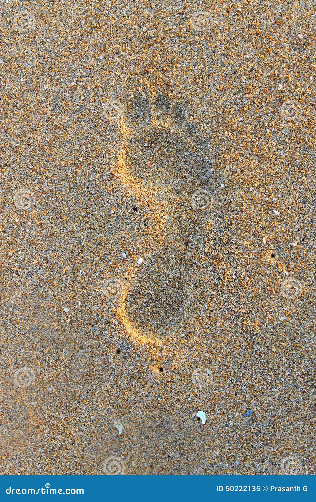 Foot step on beach sand stock image. Image of mark, journey - 50222135
