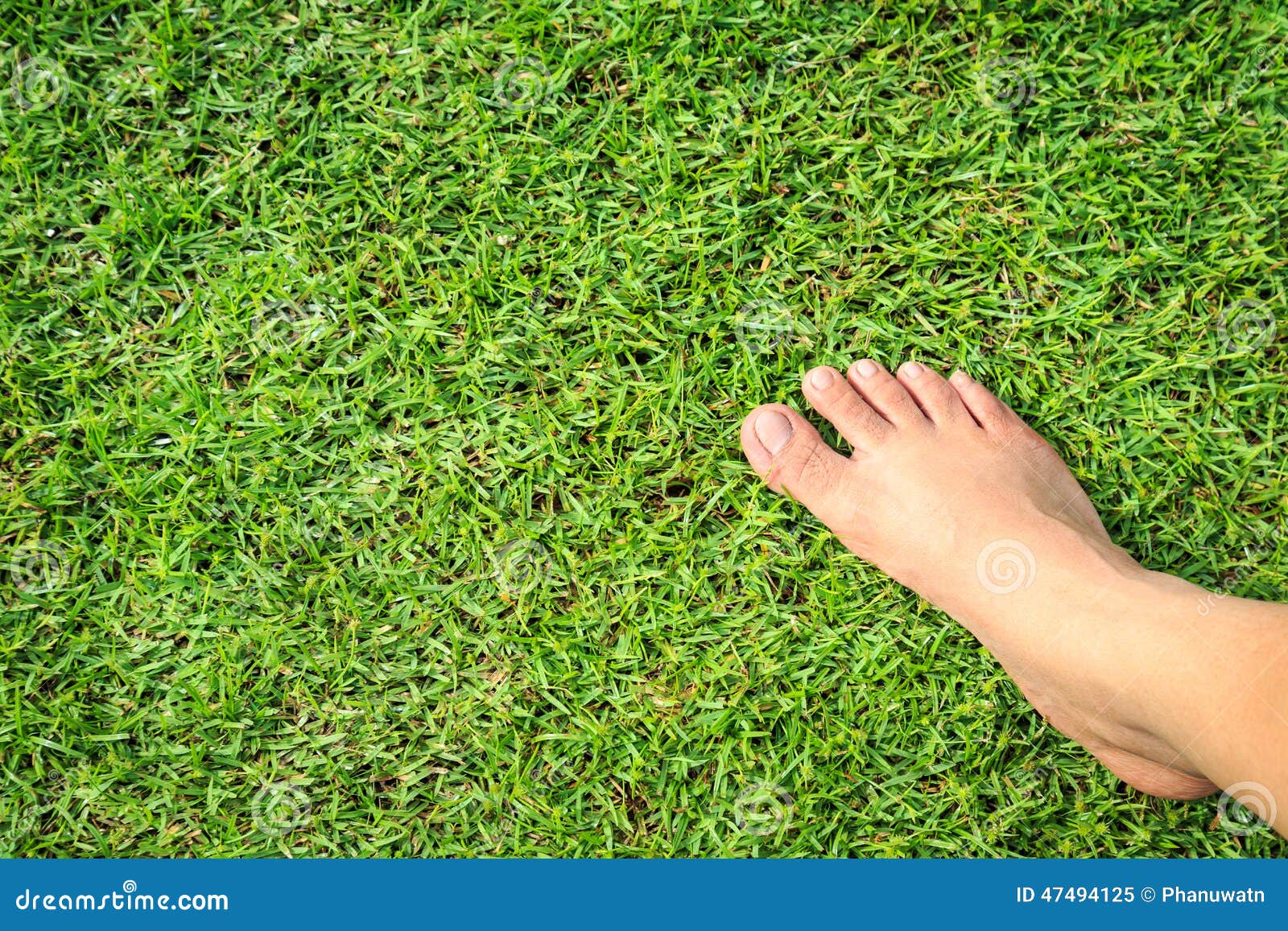 Foot step on green grass stock image. Image of health - 47494125