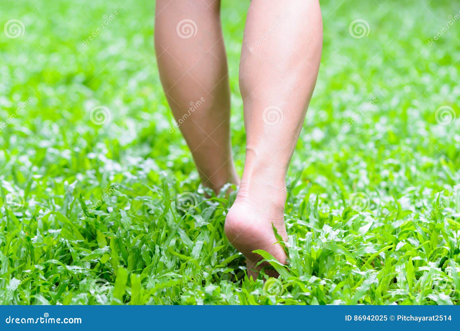 Foot step on green grass stock image. Image of green - 86942025