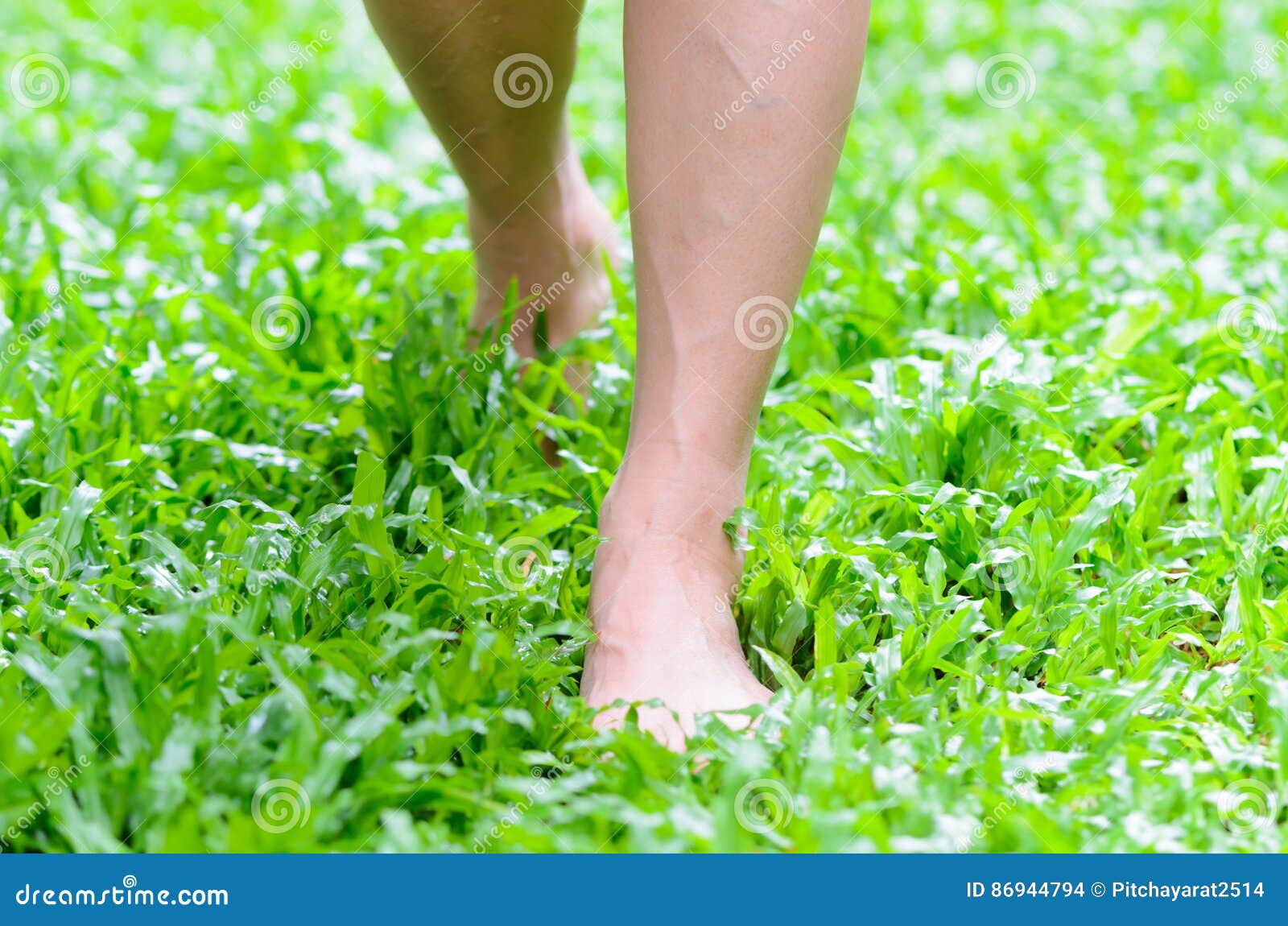 Foot step on green grass stock photo. Image of garden - 86944794