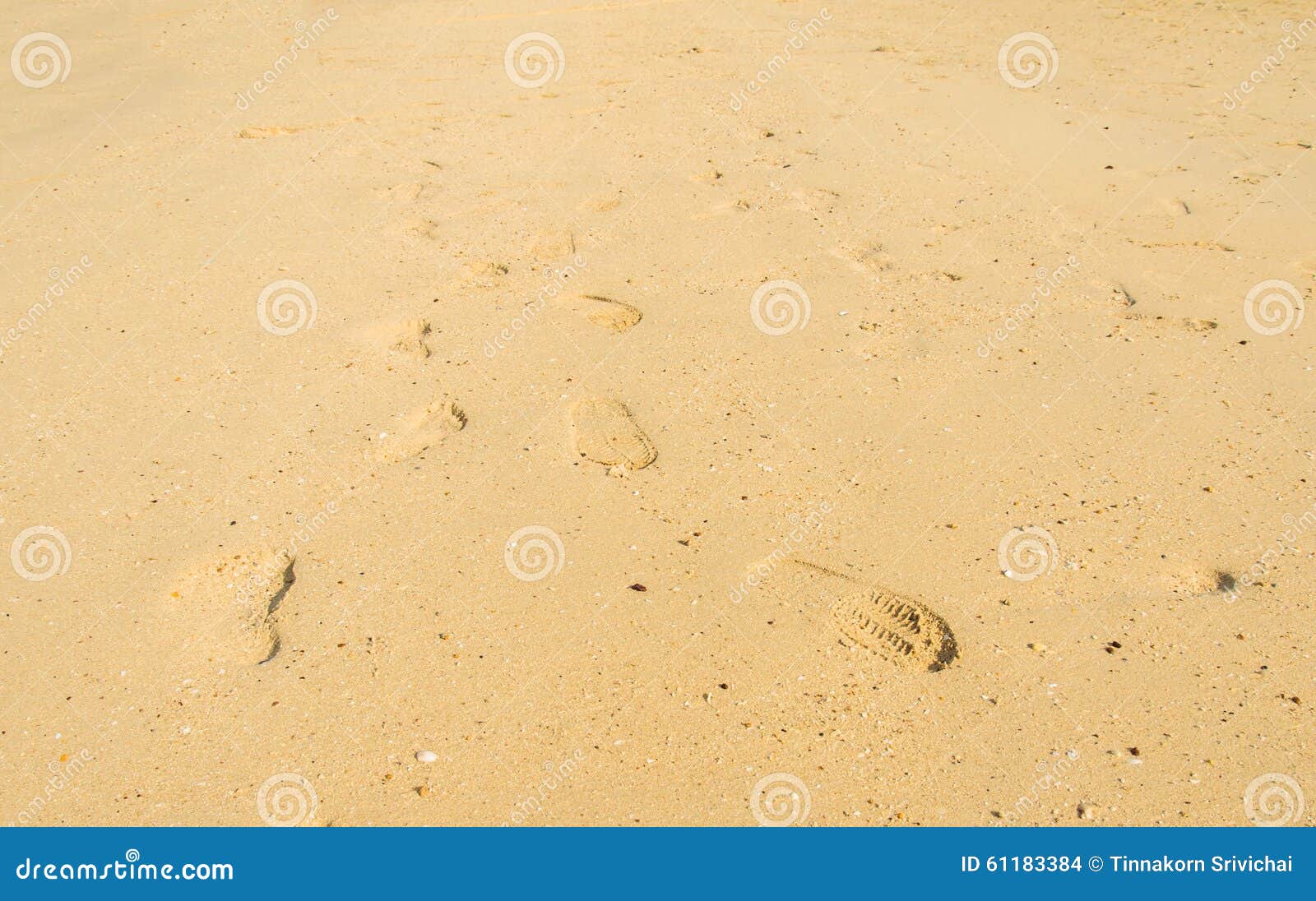 Foot step on sand stock photo. Image of beach, environment - 61183384